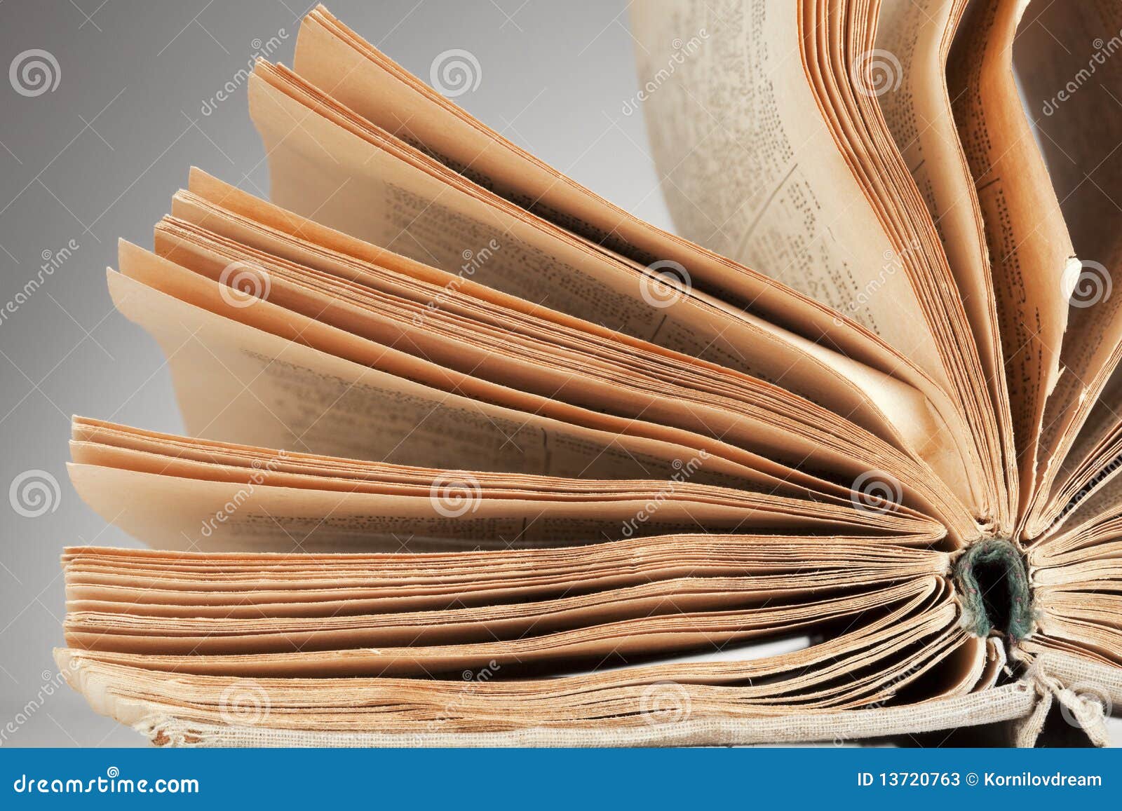 Book With Fantail Teared Slightly Sheets Picture. Image: 13720763