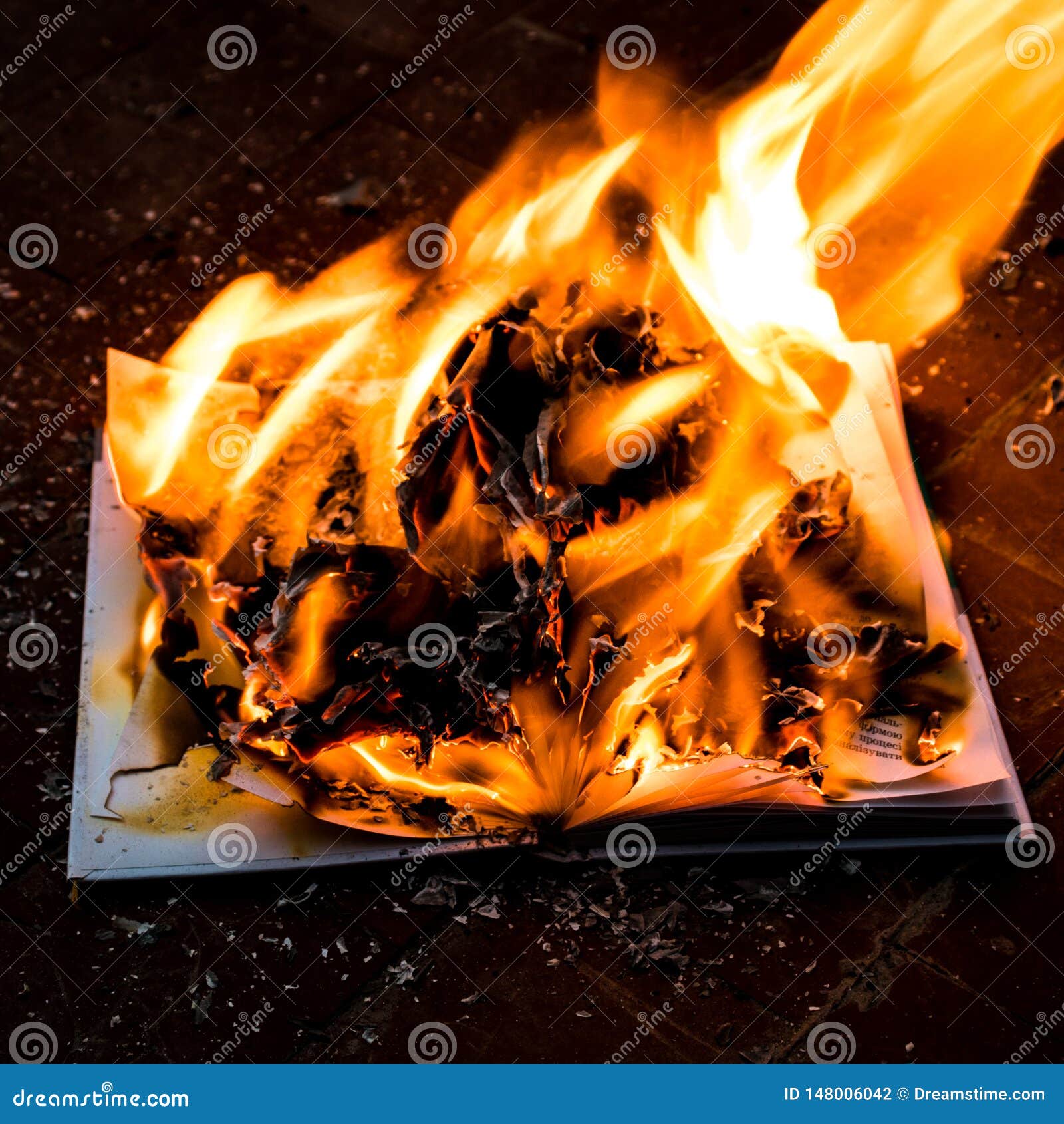 Book is on fire stock photo. Image of flame, manuscript - 148006042
