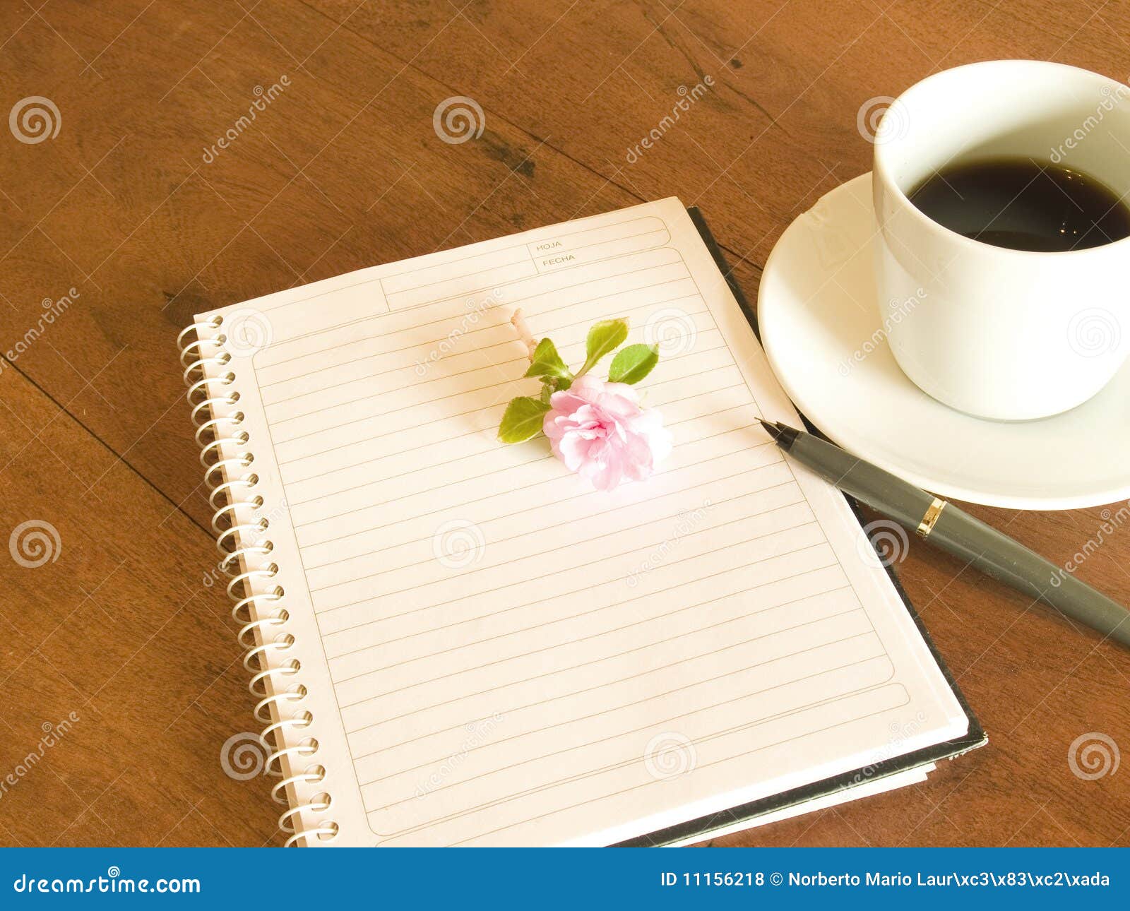 Book, flower and coffee stock photo. Image of macro, letter - 11156218