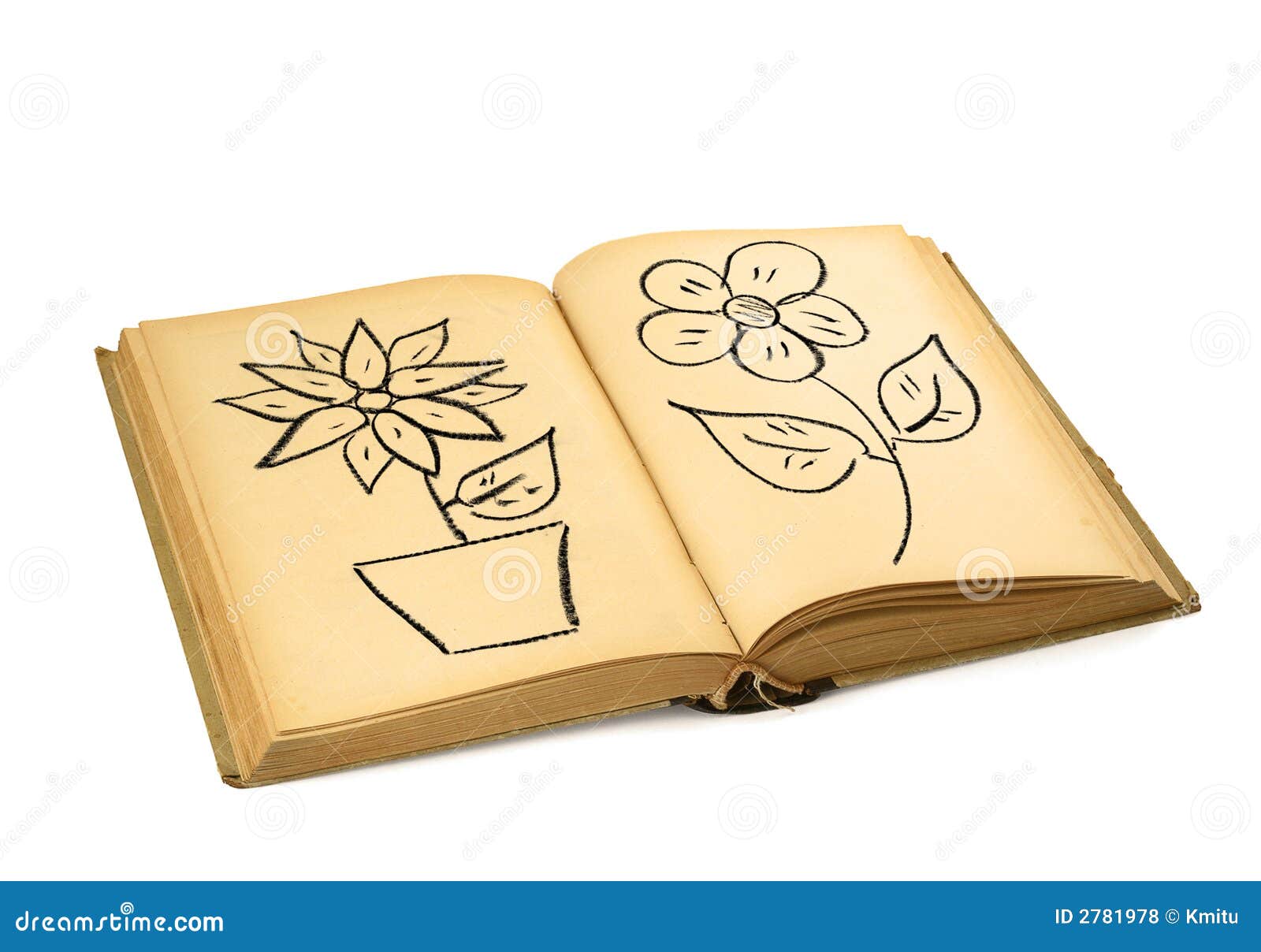 Book with flower drawings stock photo. Image of aged, pages - 2781978