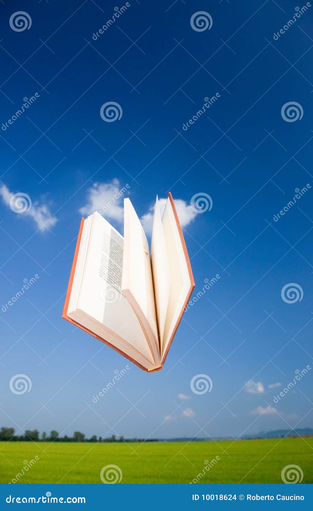 Book flying in the sky stock photo. Image of white, sunny - 10018624