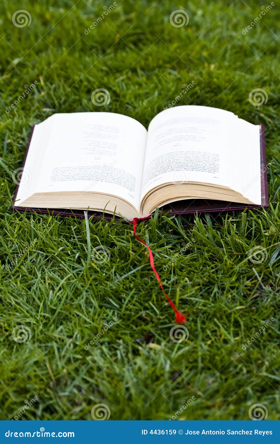 Book in the grass stock image. Image of study, leisure - 4436159