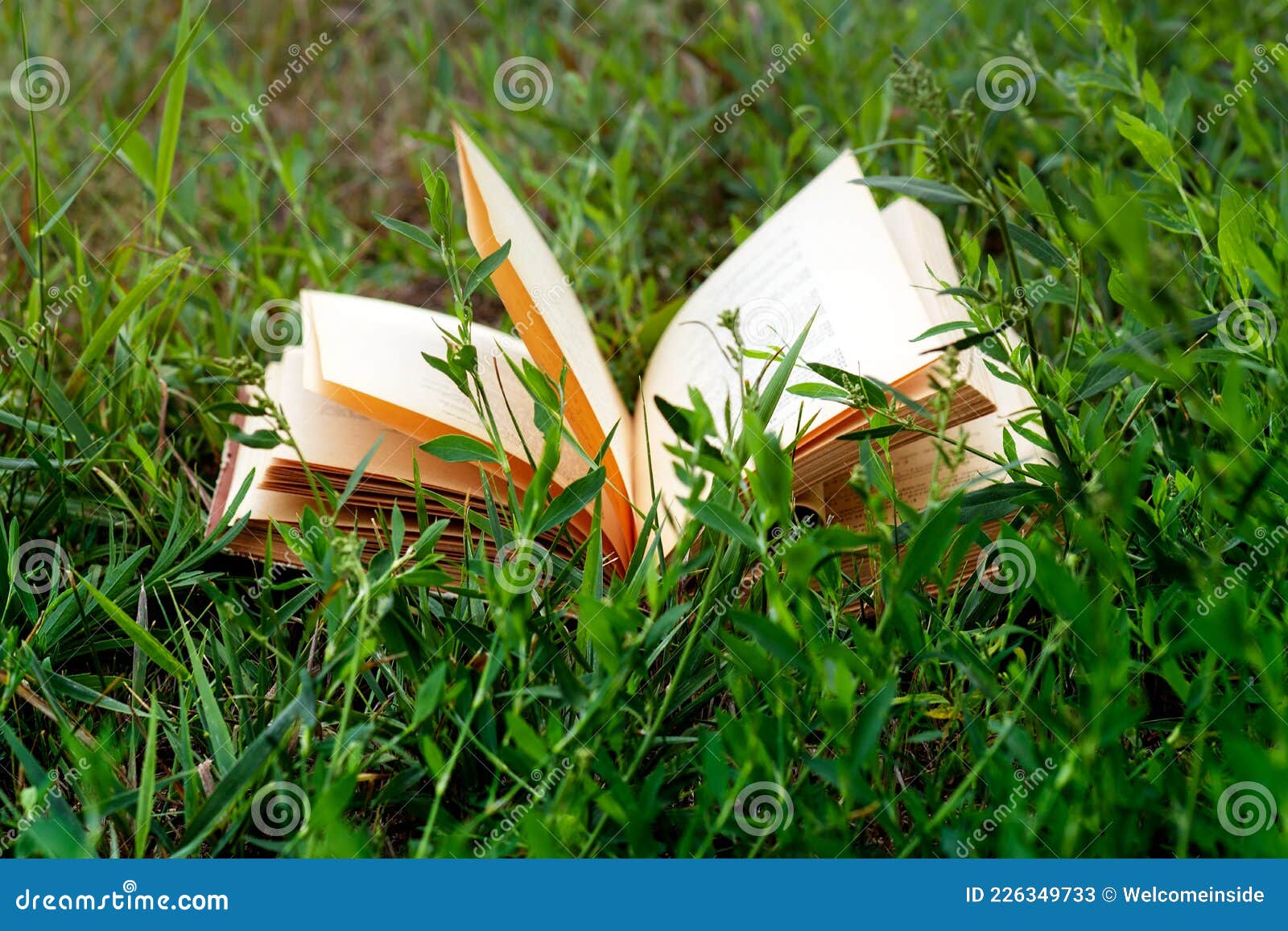 Book in Grass. Old Book Lies on Grass in Park, Summer Backgound with ...