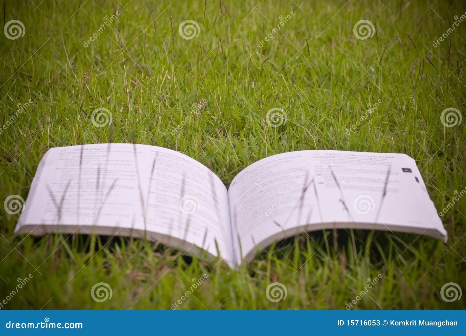 A book in the green field stock image. Image of read - 15716053