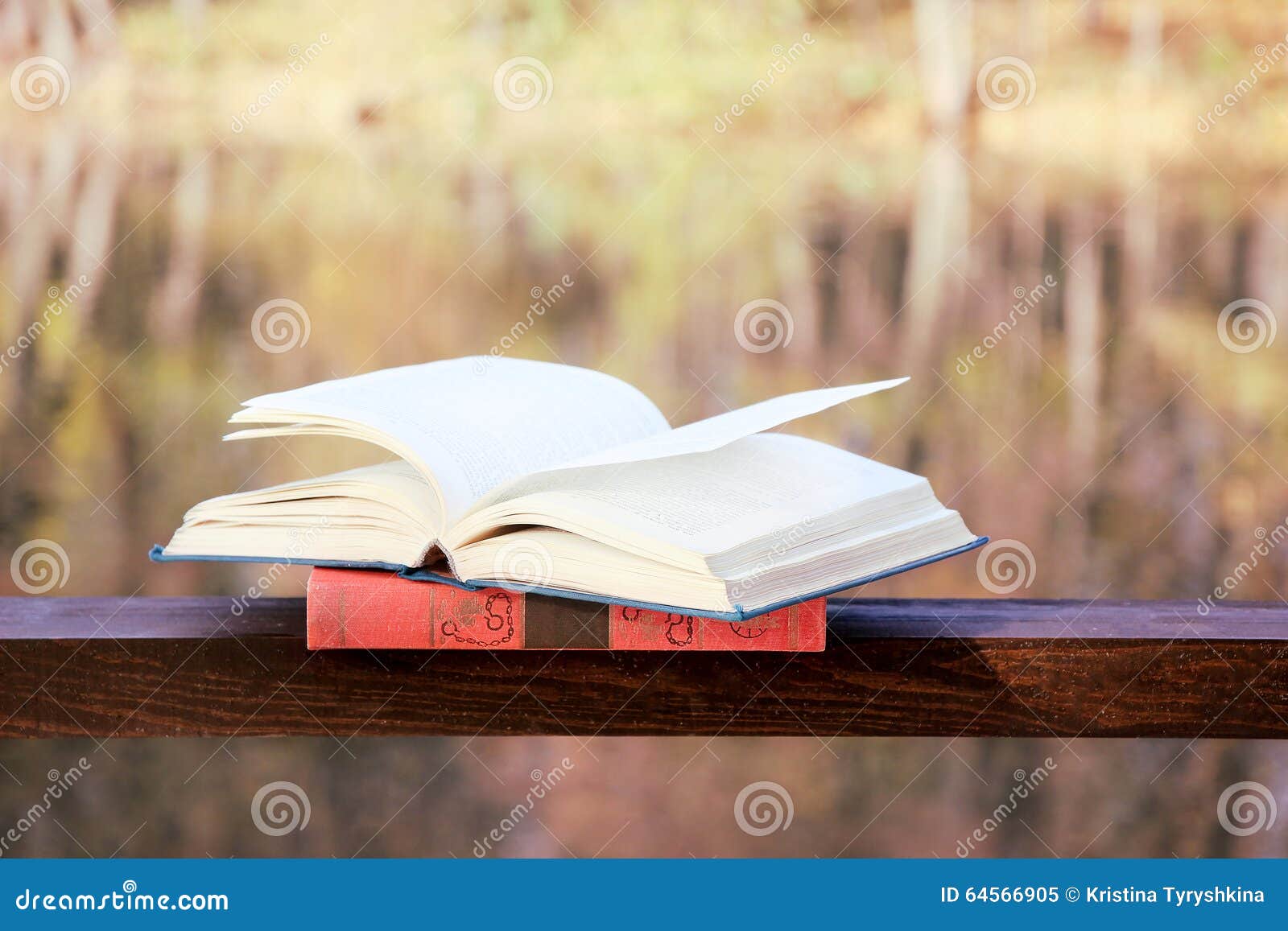 Book on a Ground Near Lake. Knowledge is Power. Education ...