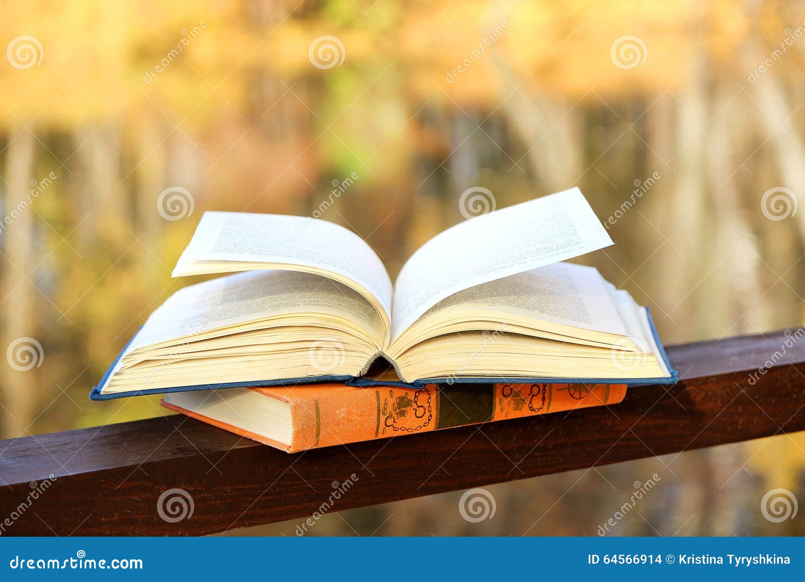 Book on a Ground Near Lake. Knowledge is Power. Education ...