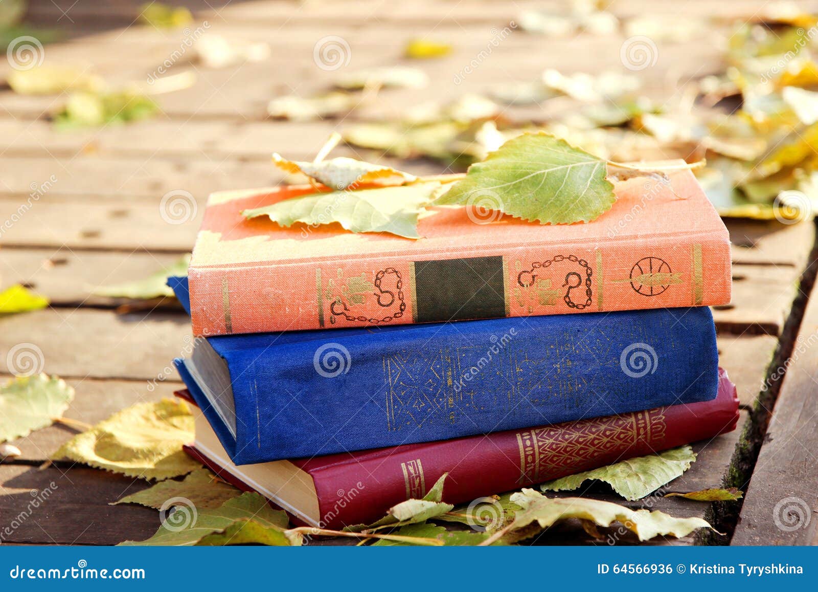 Book on a Ground Near Lake. Knowledge is Power. Education ...