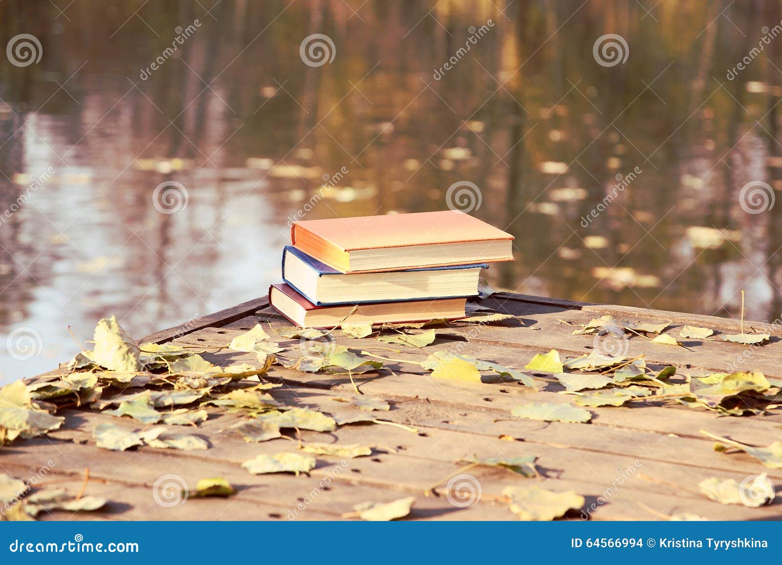 Book on a Ground Near Lake. Knowledge is Power. Education ...