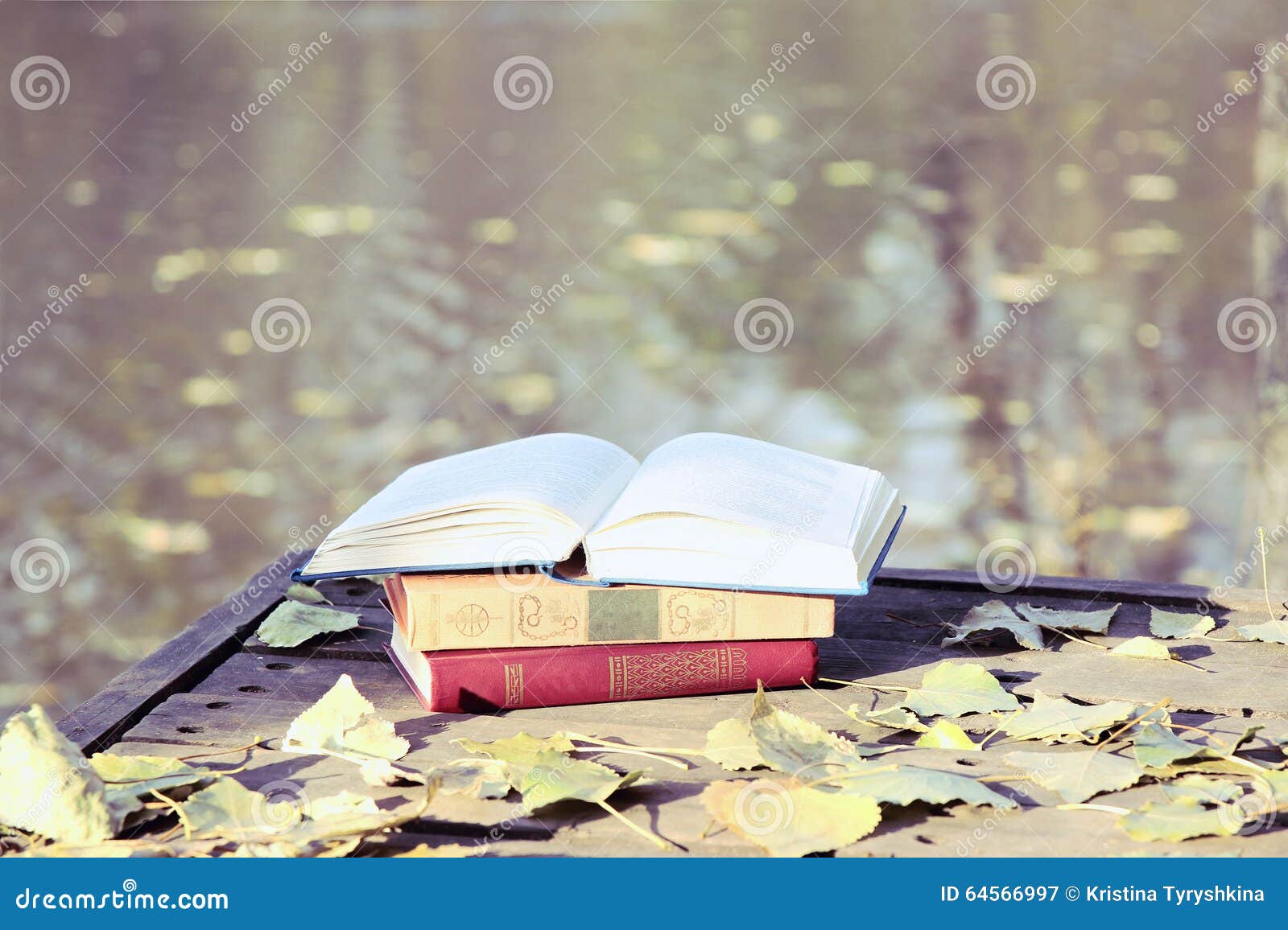 Book on a Ground Near Lake. Knowledge is Power. Education ...