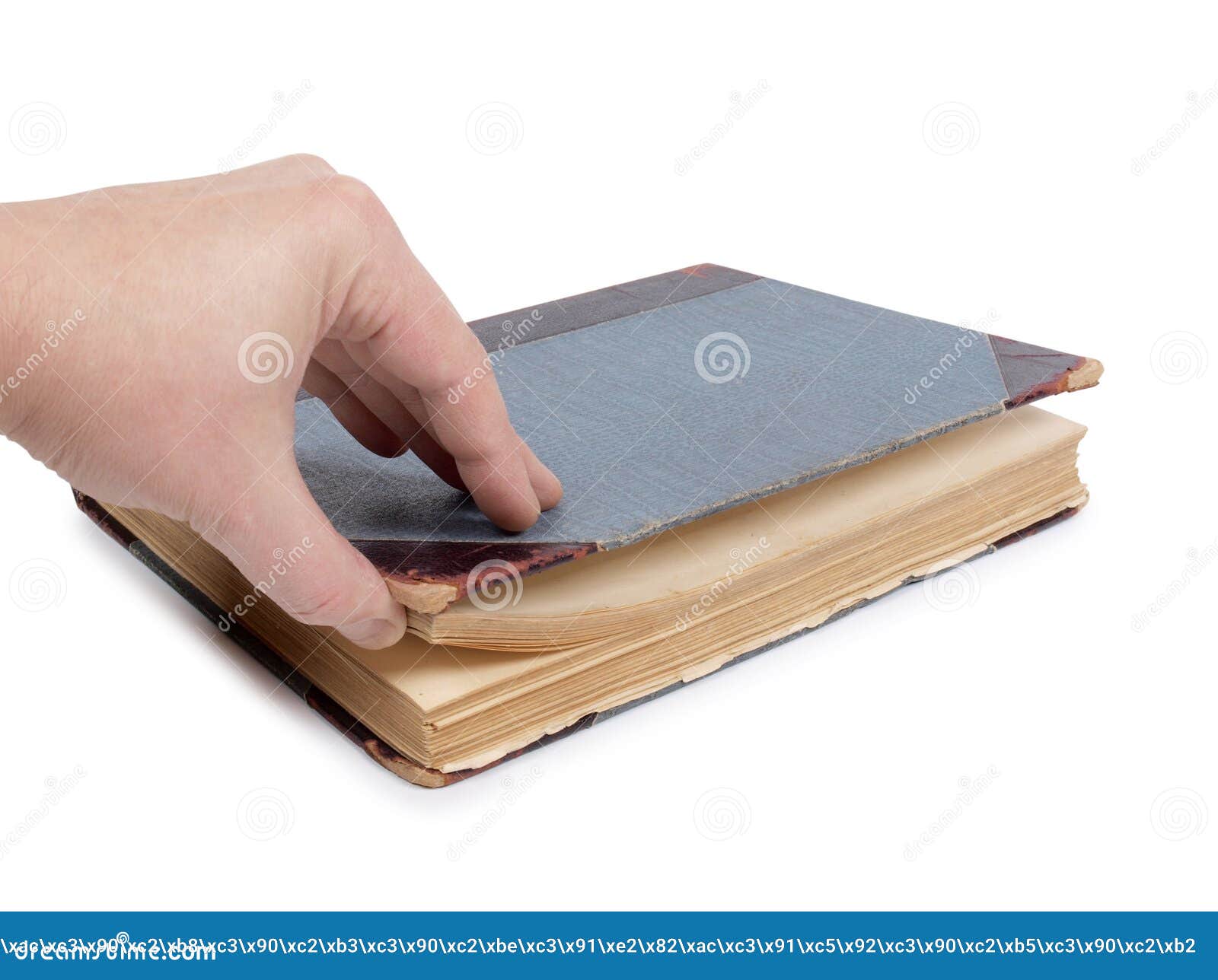 Book and hand stock photo. Image of novel, school, literary - 64967606