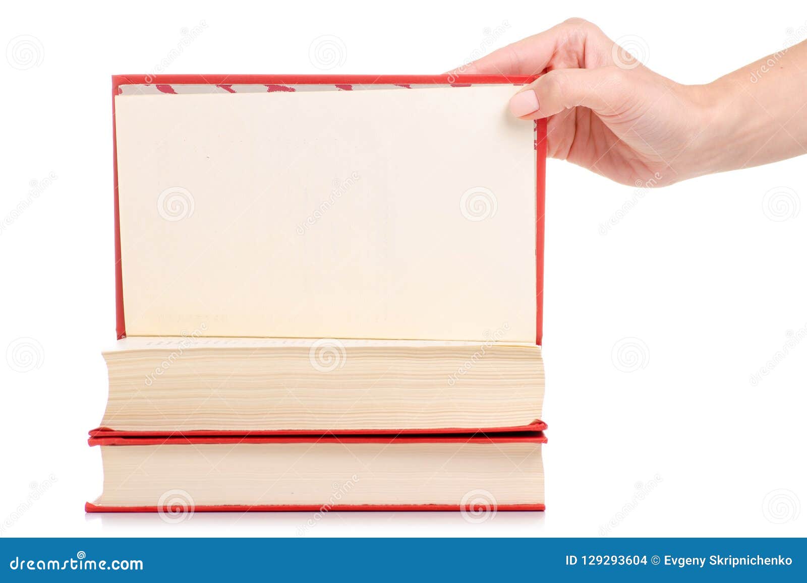Book in hand stock photo. Image of knowledge, book, background - 129293604