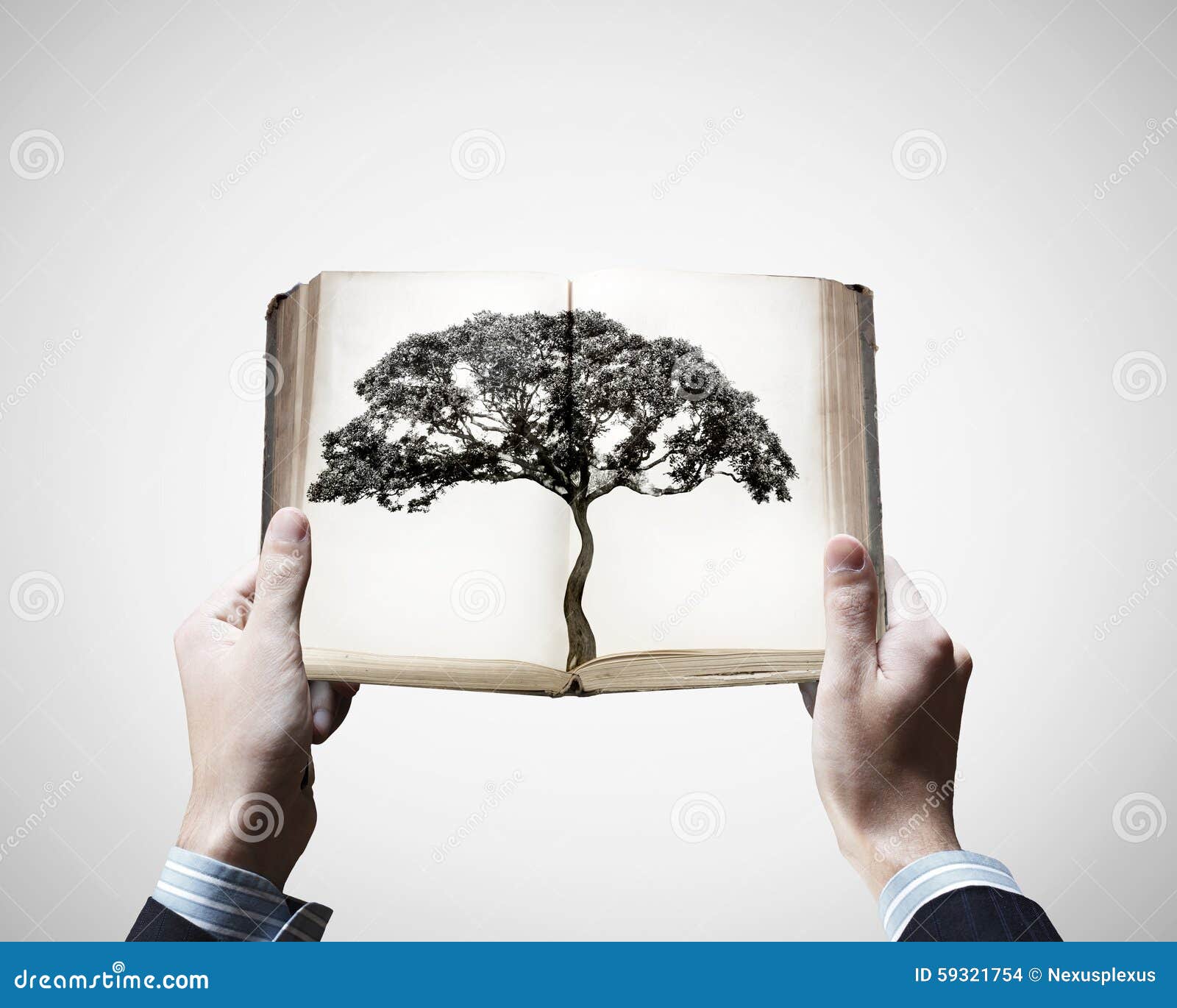 Book in hands stock photo. Image of wood, textbook, intelligence - 59321754