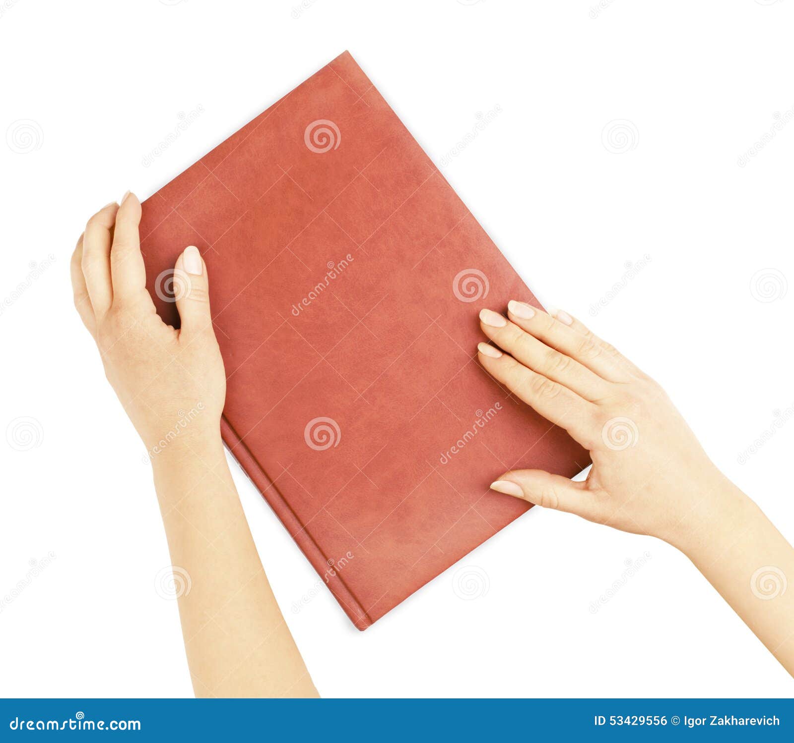 Book in the Hands of a Girl Stock Photo - Image of diary, element: 53429556