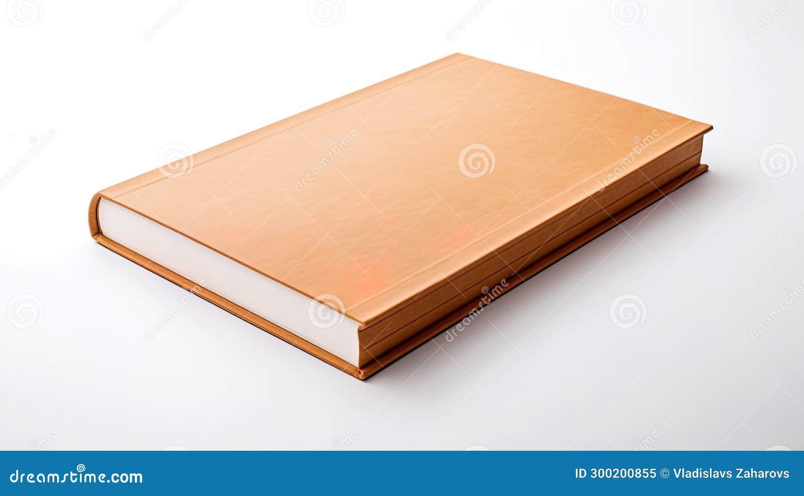 The Book is in Isolation on a White Background Stock Illustration ...