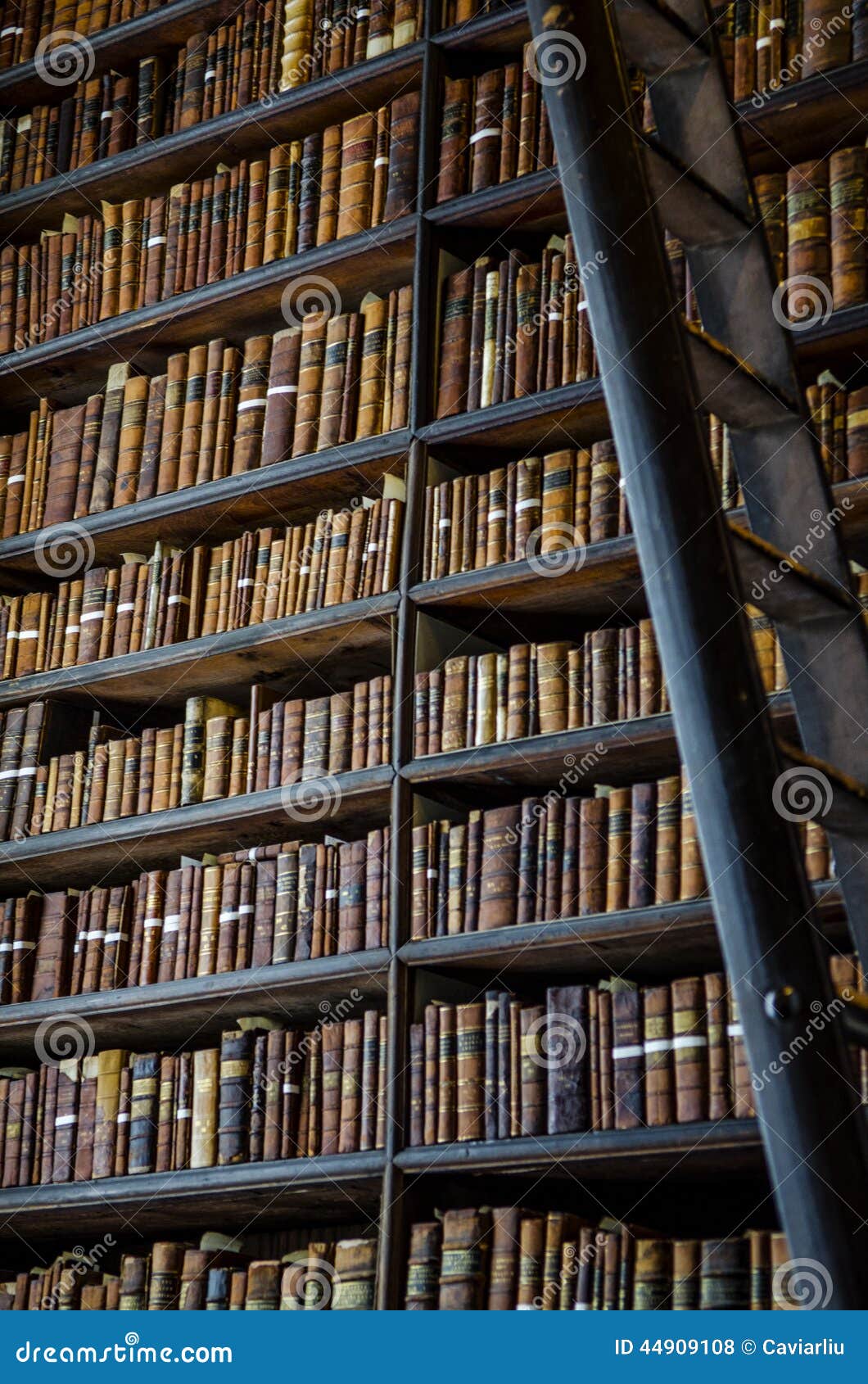 The Book of Kells, Bookshelf,Long Room Library in Trinity College Stock ...