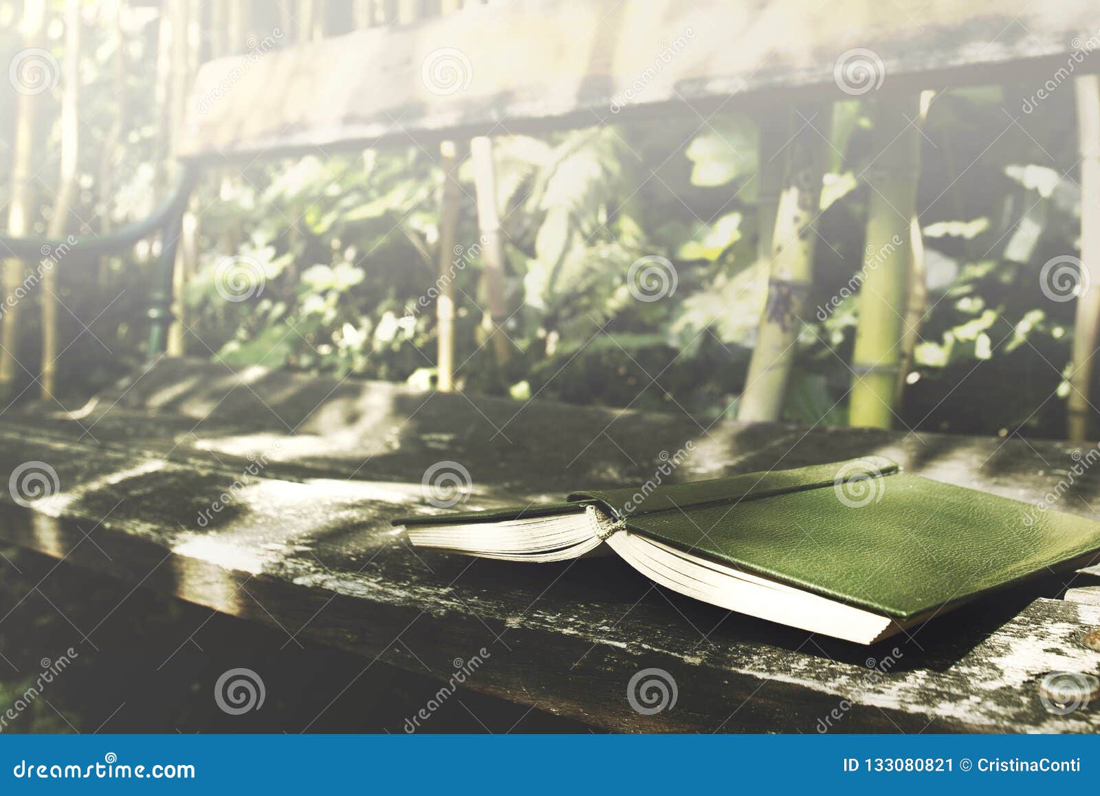 Book Leaning on a Bench Waiting To Be Read Stock Image - Image of ...