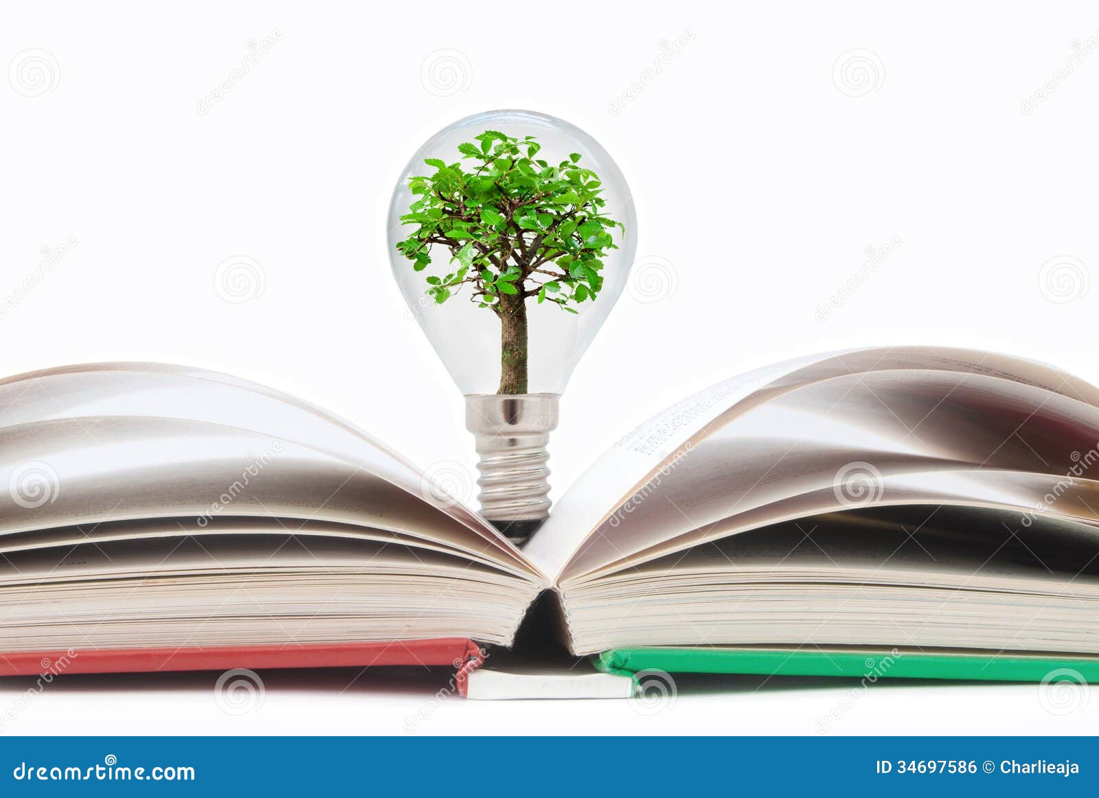 Book with light bulb tree stock photo. Image of book - 34697586