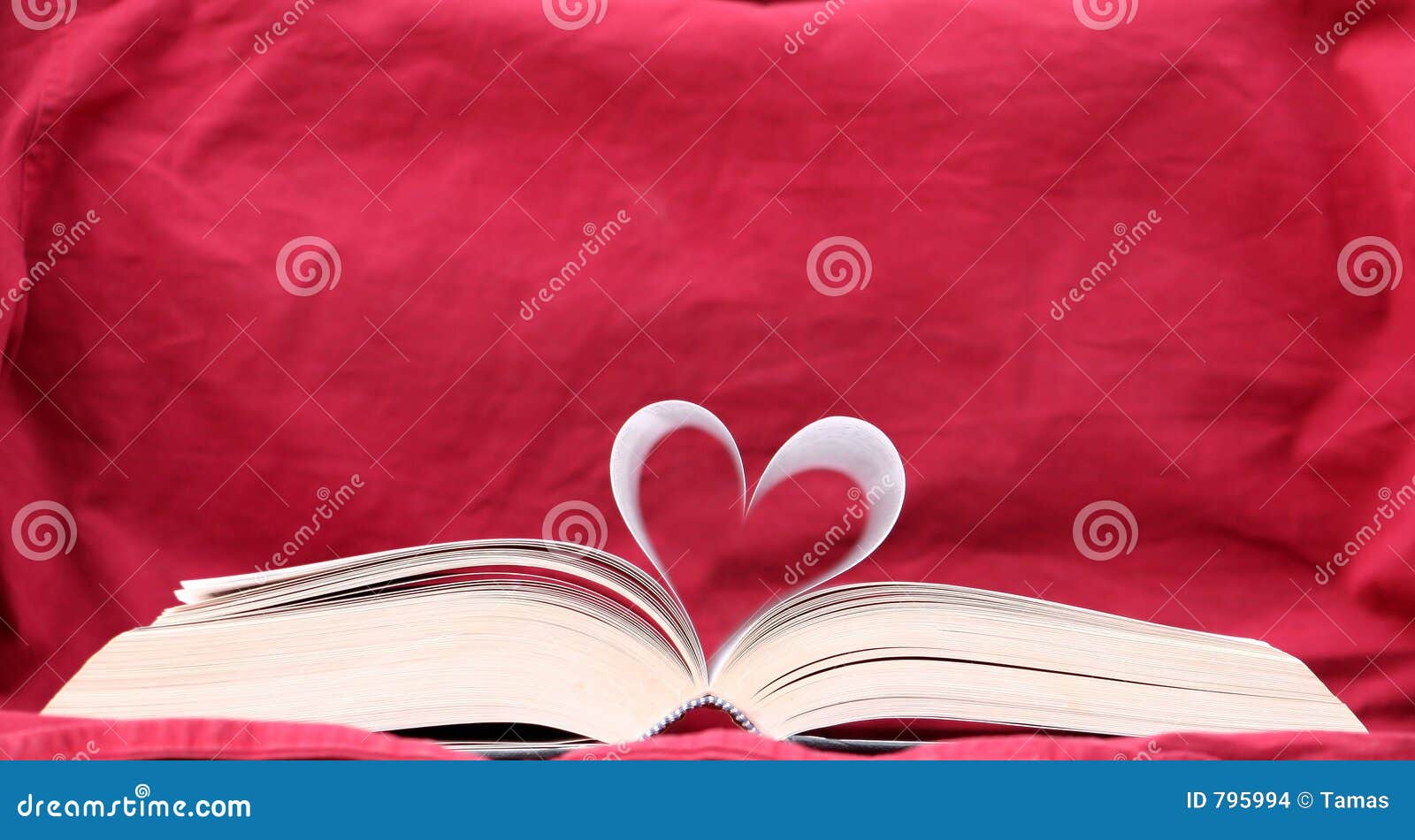 The Book of Love two stock photo. Image of feeling, book - 795994
