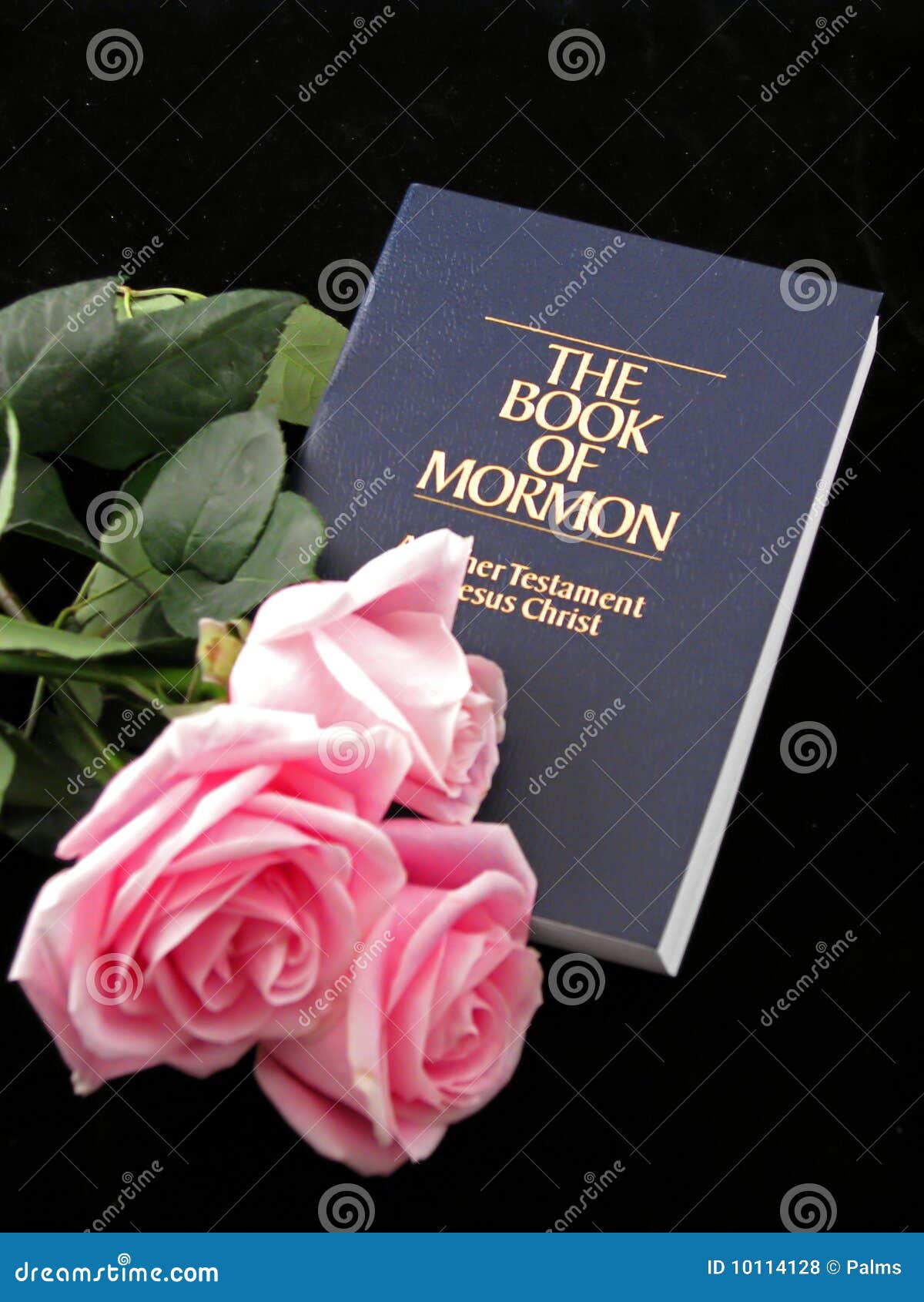 Book of mormon and roses stock photo. Image of leaves - 10114128