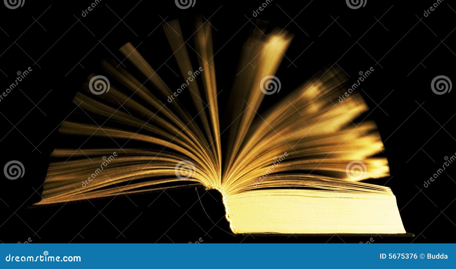 In The Book Between The Pages Lies A Pencil With The Inscription ...