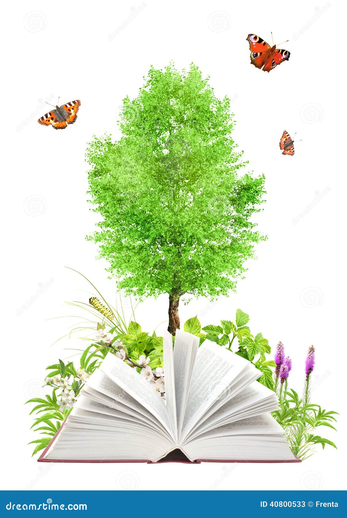 Book of nature stock illustration. Illustration of literary - 40800533
