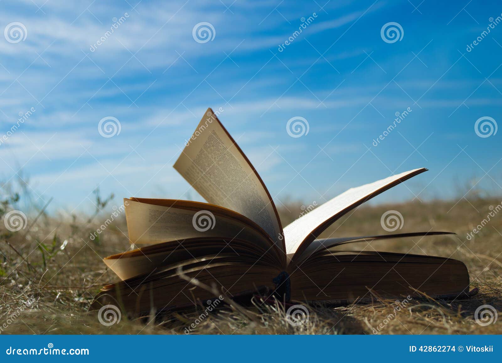Book stock photo. Image of fresh, paper, leaf, sheets - 42862274