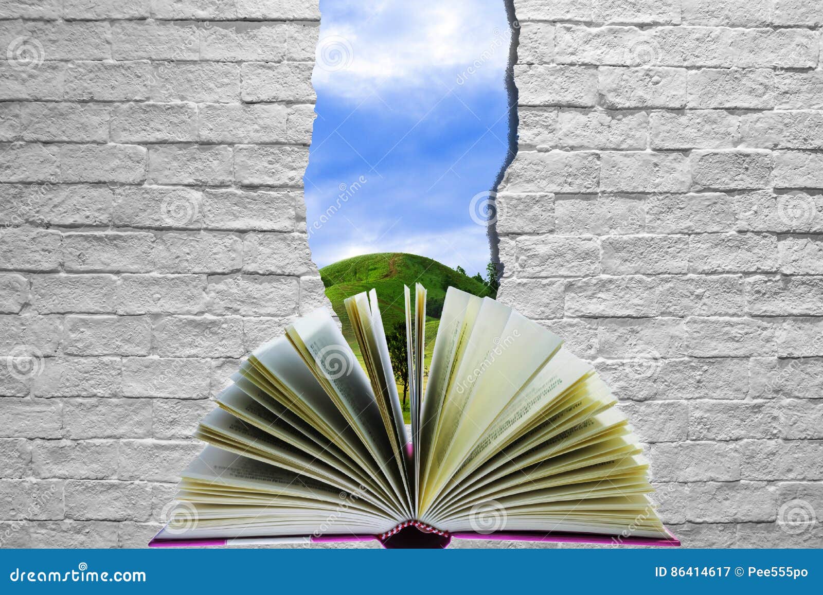 Book open world stock image. Image of knowledge, forest - 86414617