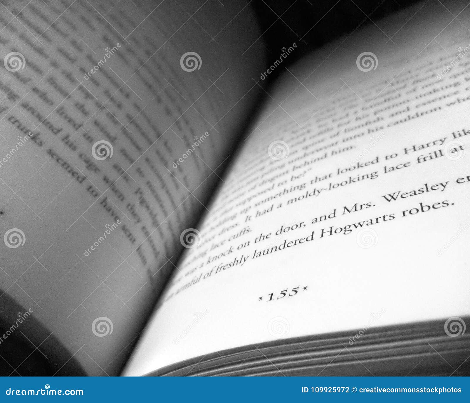 155 Book Page Picture. Image: 109925972