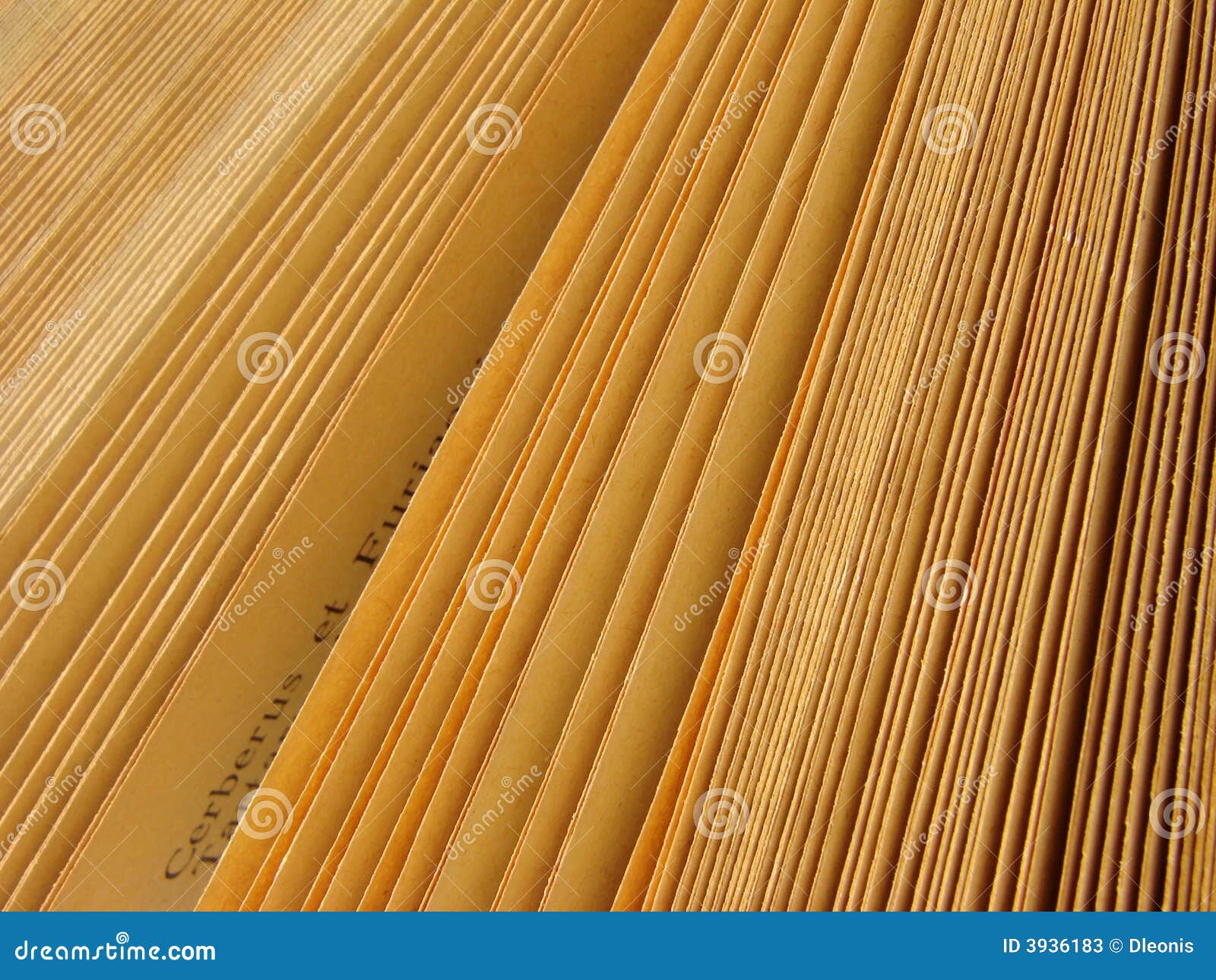 Book pages 3 stock image. Image of heritage, culture, literature - 3936183