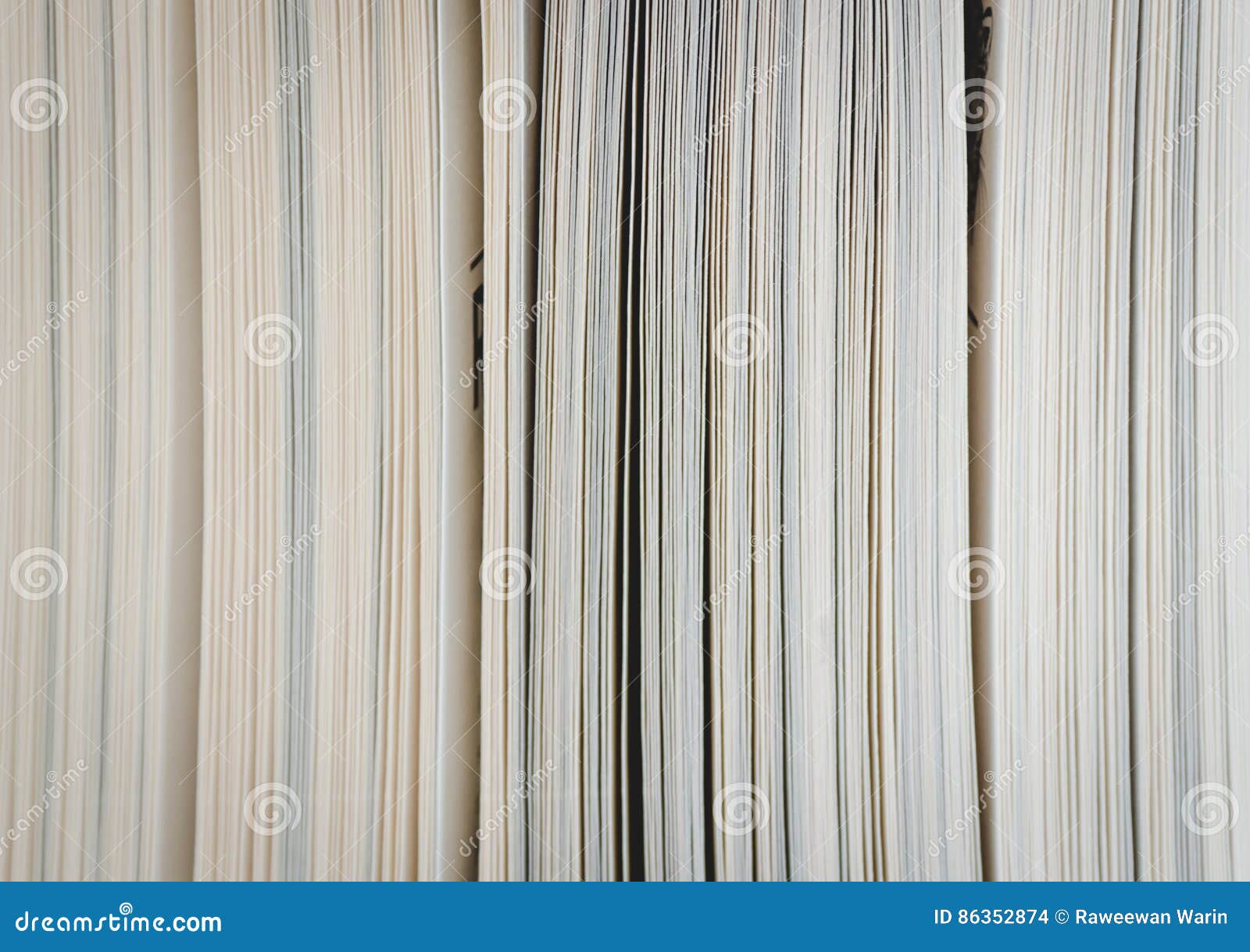 In The Book Between The Pages Lies A Pencil With The Inscription ...