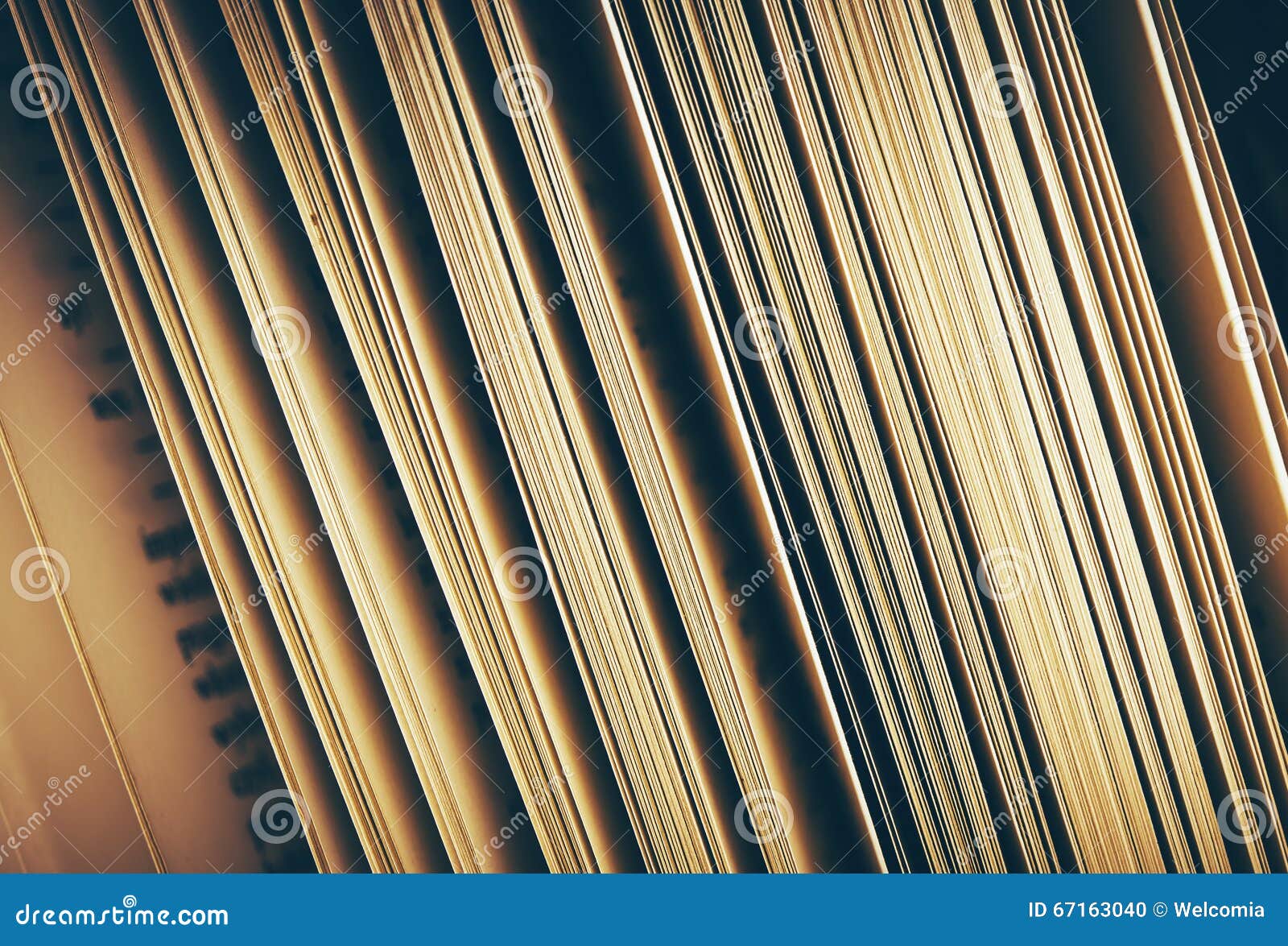 Book Pages Closeup stock photo. Image of library, reading - 67163040
