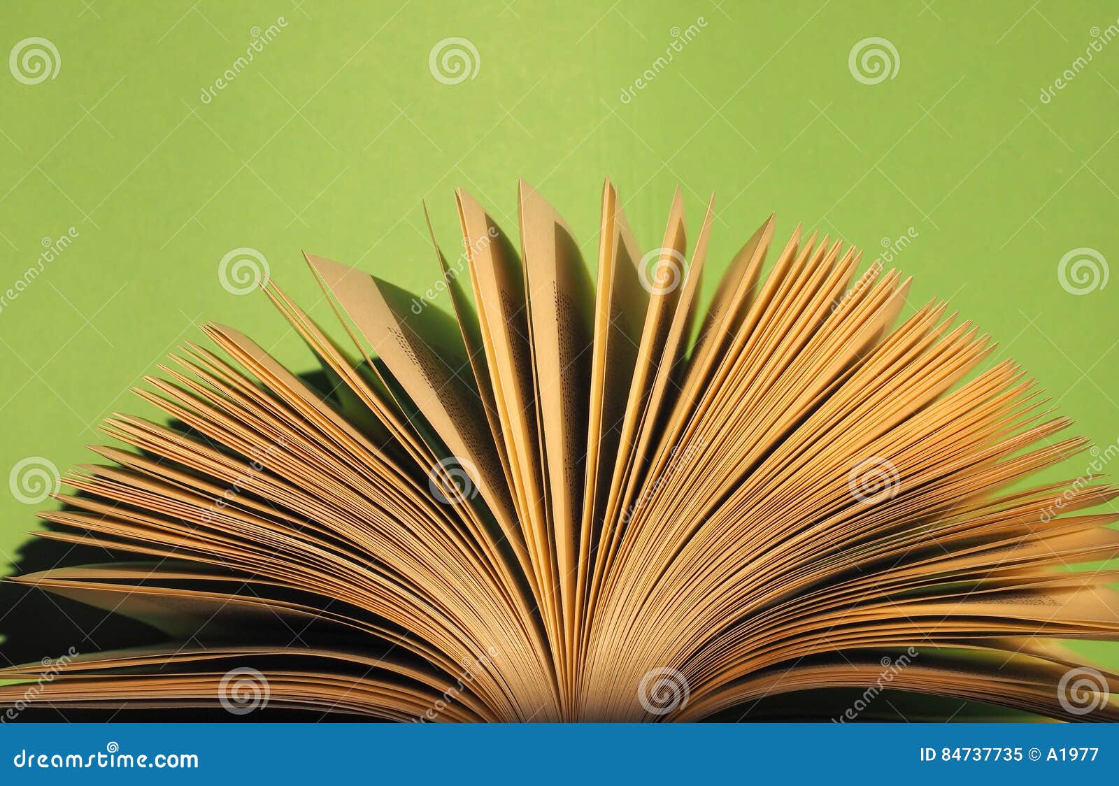 Book pages detail stock image. Image of literature, university - 84737735