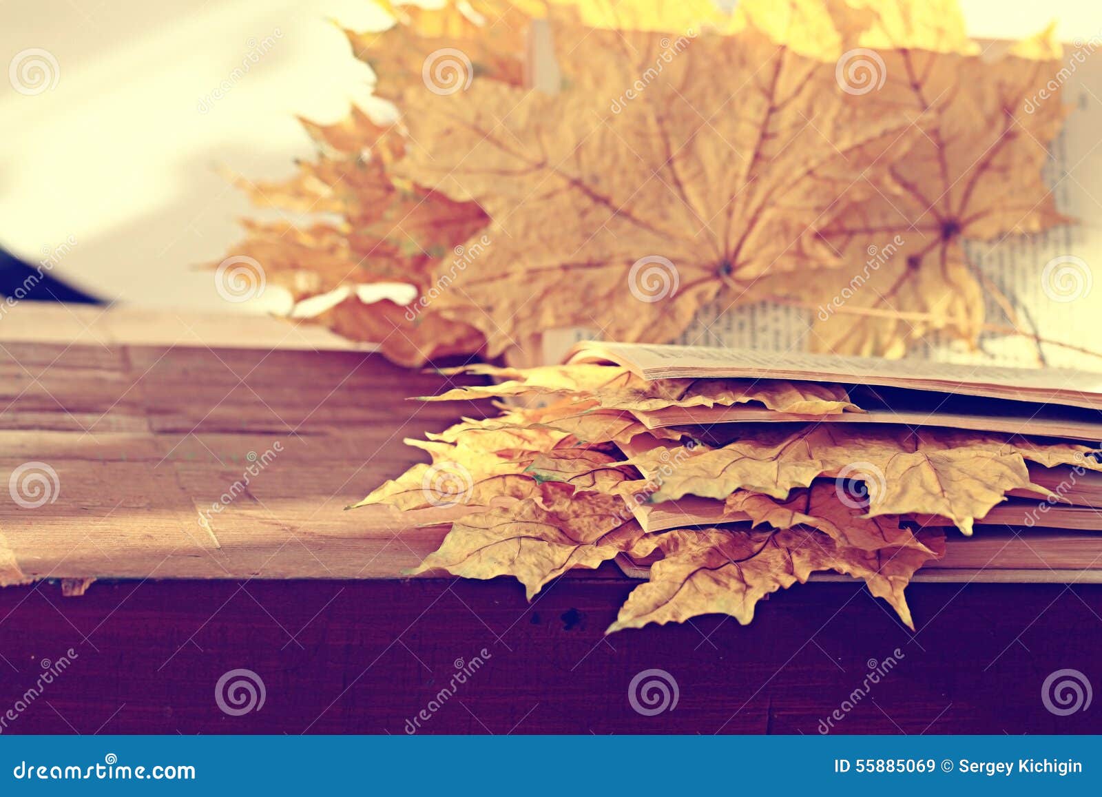 Book Pages with Dry Autumn Leaves Stock Image - Image of school, leaves ...