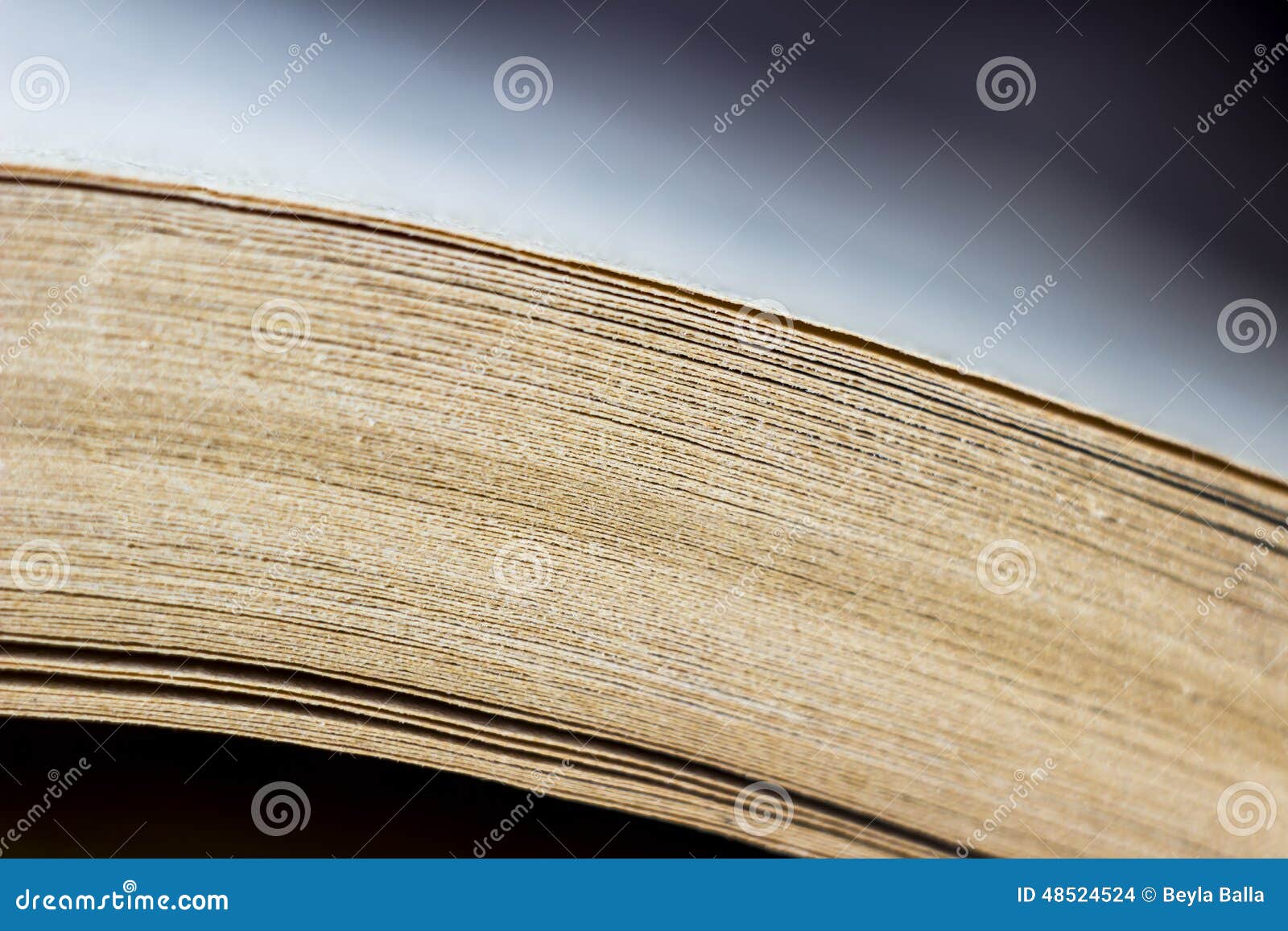 Book pages stock photo. Image of literature, opened, library - 48524524