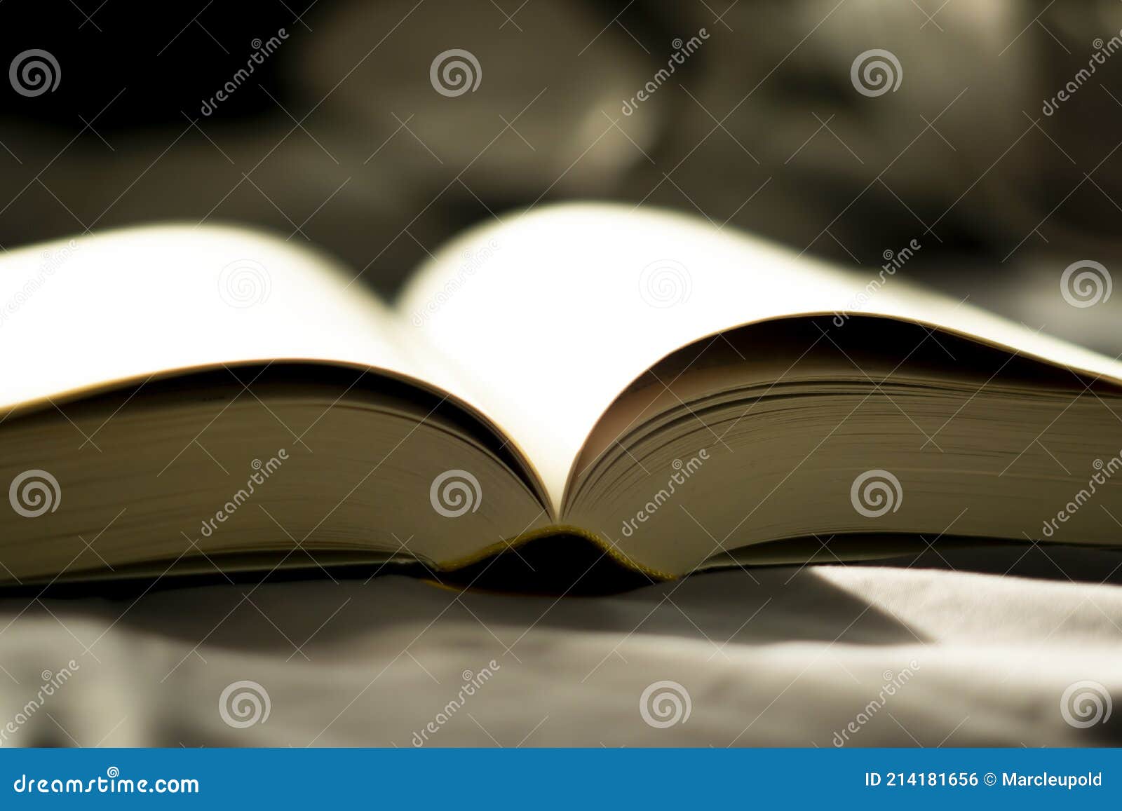 Book pages without text stock photo. Image of textbook - 214181656