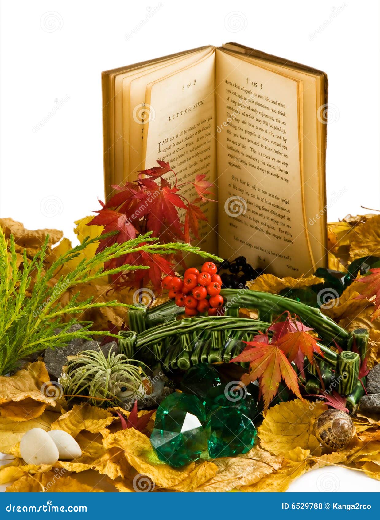 Book park stock photo. Image of bridge, decorative, beautiful - 6529788