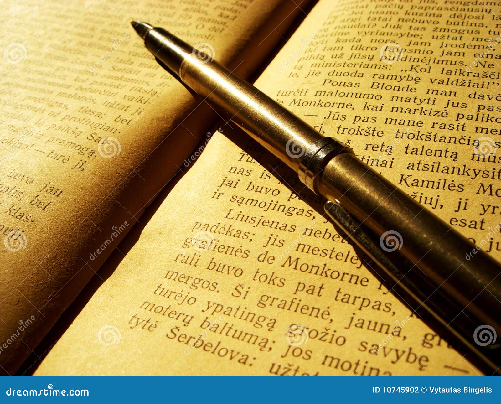 Book and pen stock photo. Image of luxury, golden, retro - 10745902