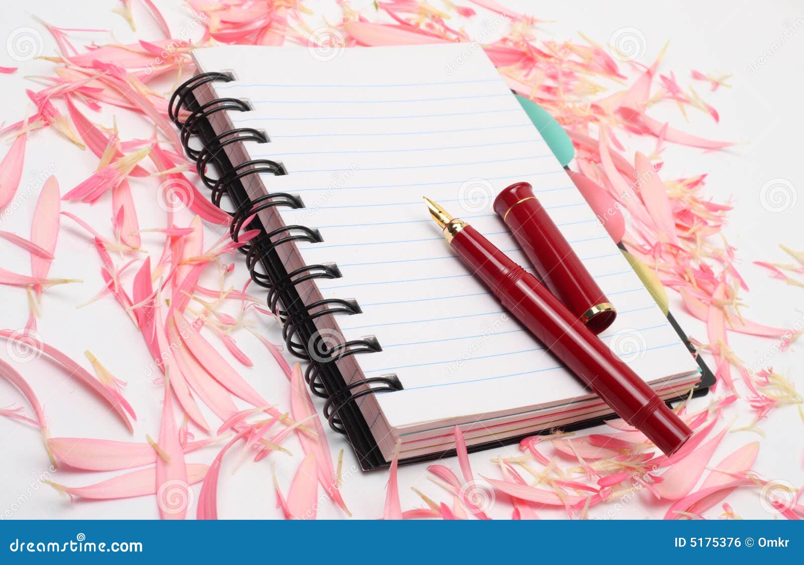 Book with pen stock photo. Image of book, paper, abstract - 5175376