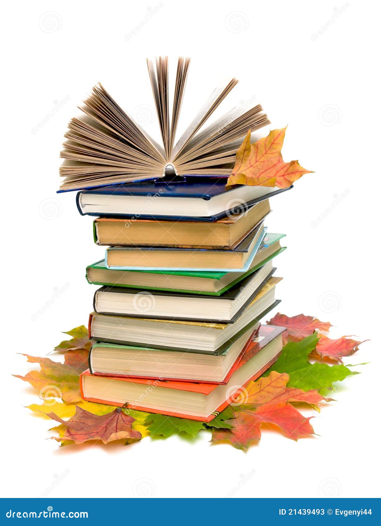Book on a Pile of Books and Maple Leaves Stock Image - Image of ...