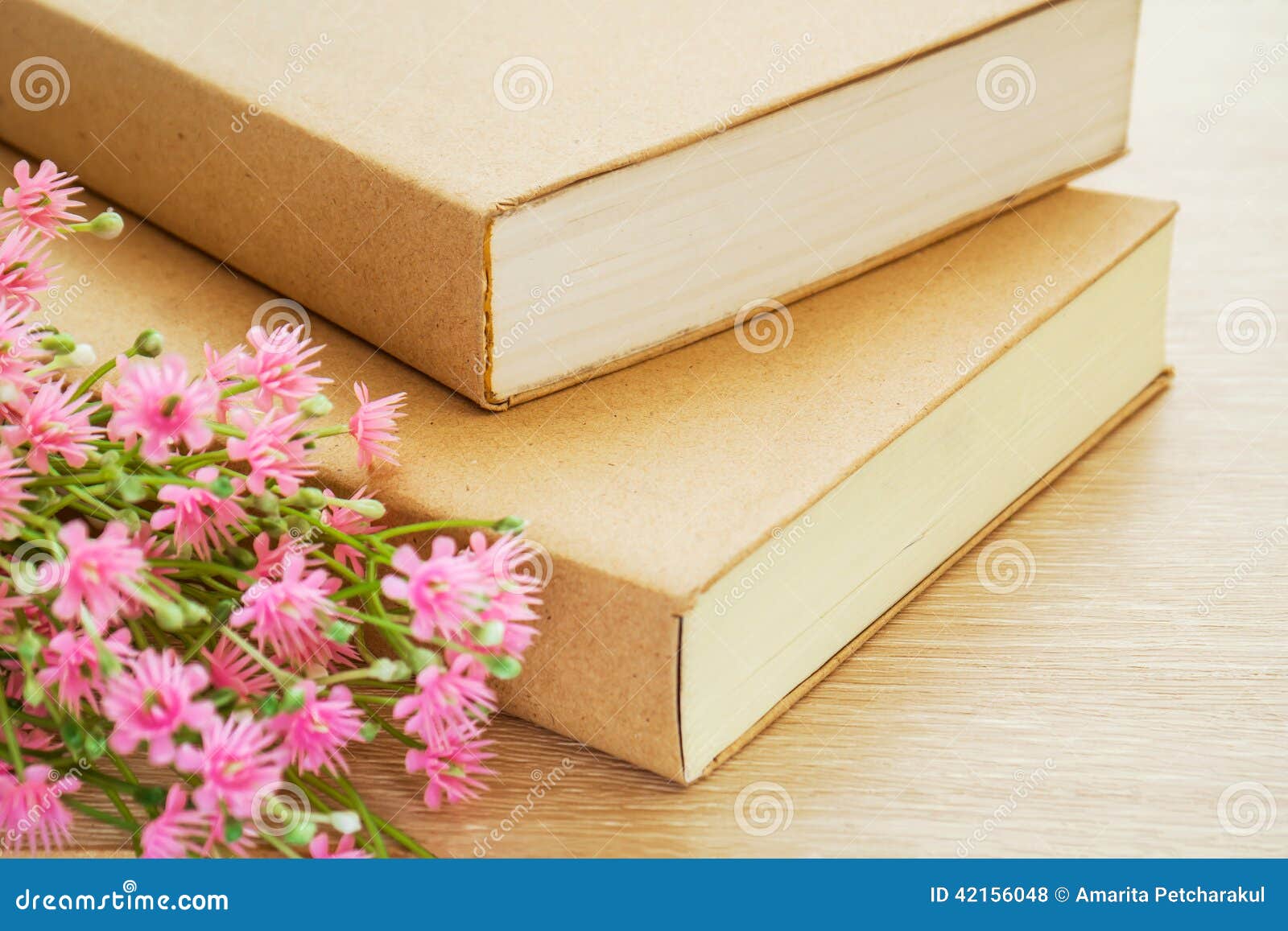 Book and pink flowers stock photo. Image of literary - 42156048