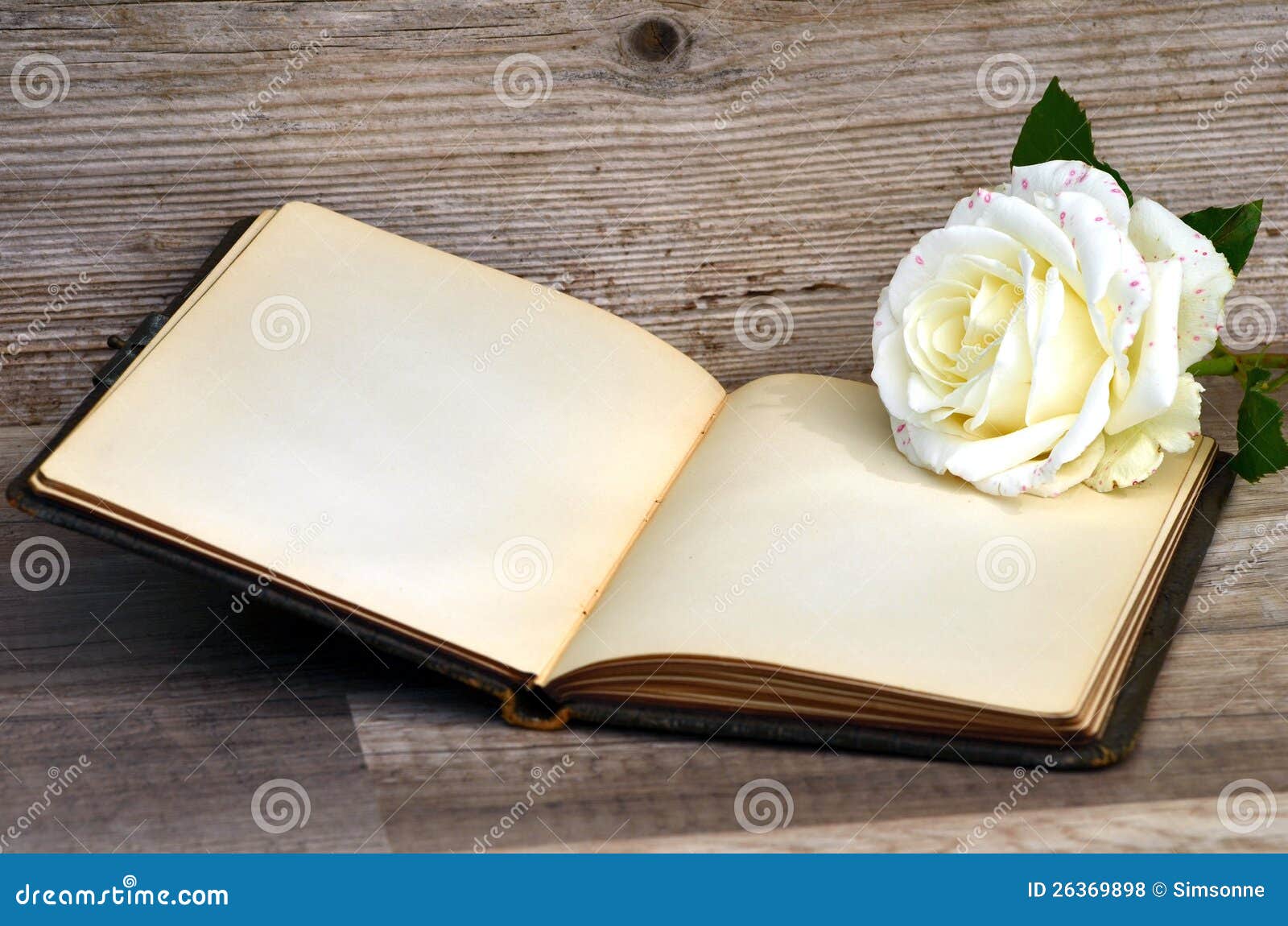 Book and Rose stock photo. Image of vintage, album, gift - 26369898