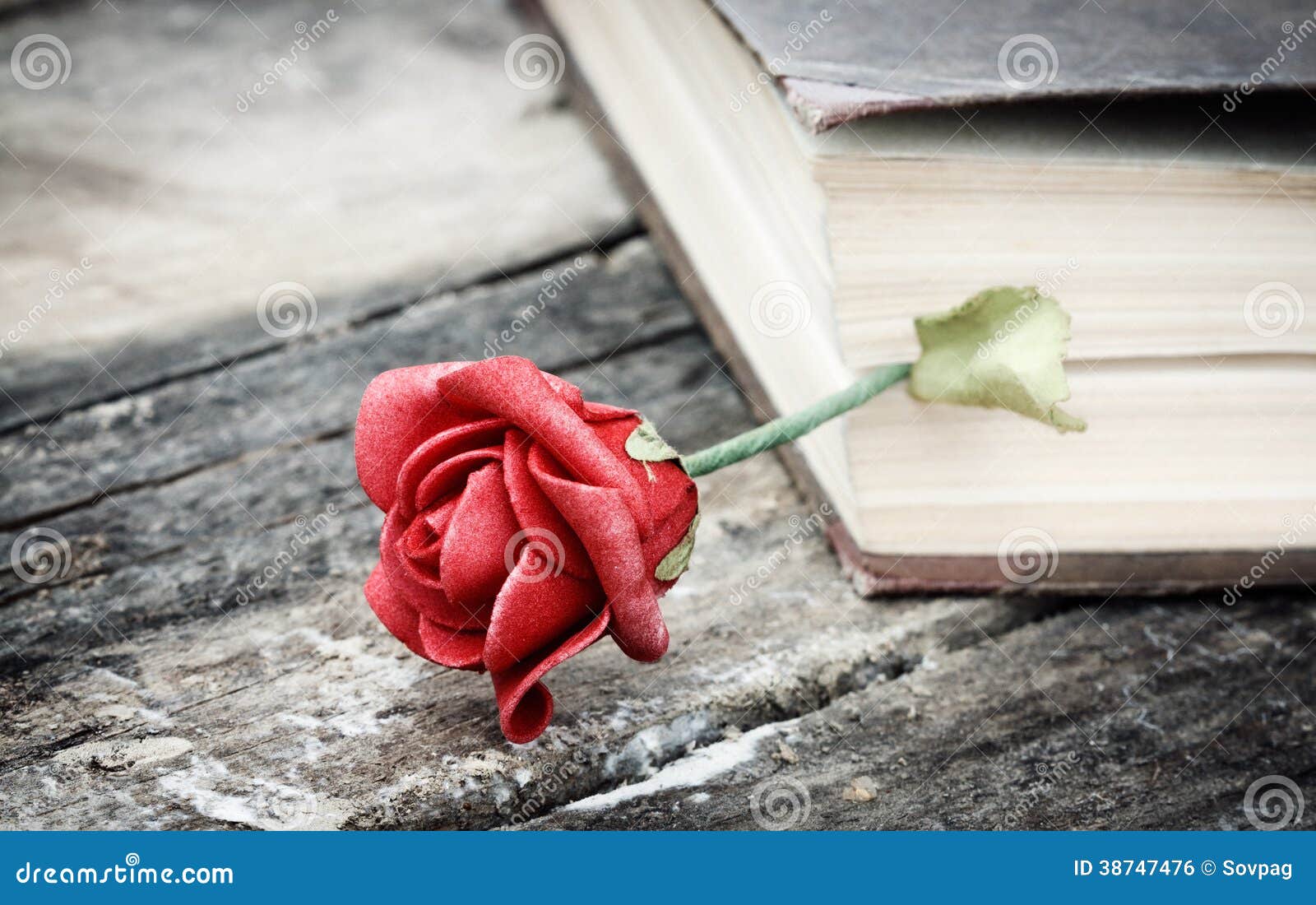Book and rose stock photo. Image of book, beautiful, lifestyle - 38747476