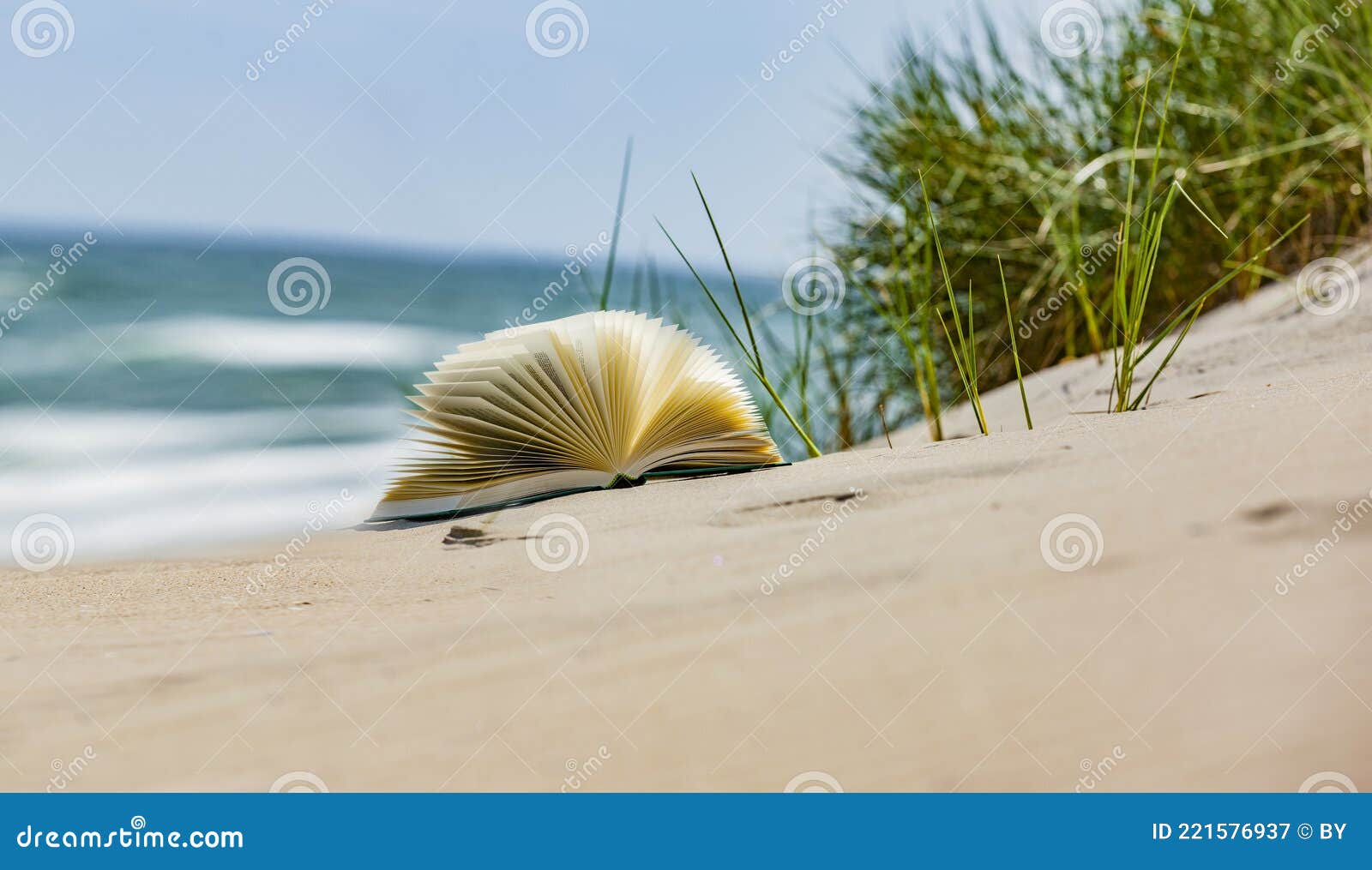 Book on the Sandy Beach at the Ocean Stock Image - Image of ocean ...