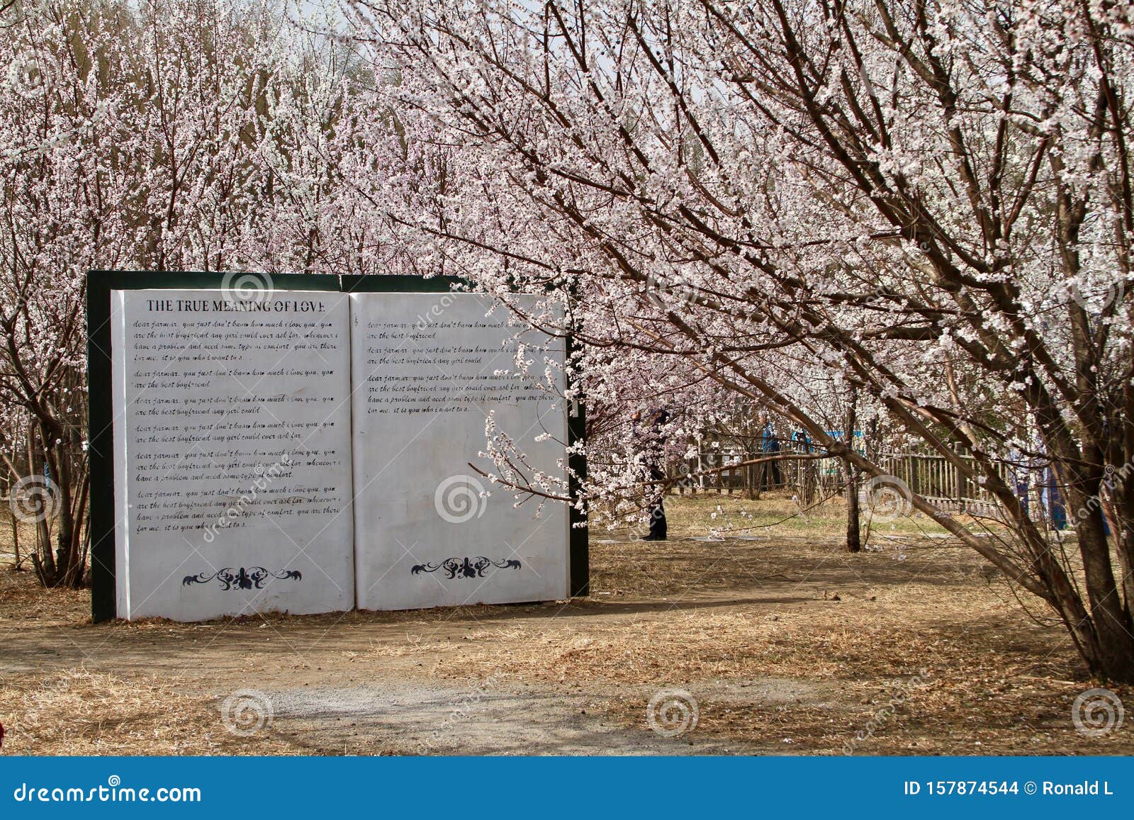 A Book Shaped Architecture in a Park Stock Photo - Image of growing ...