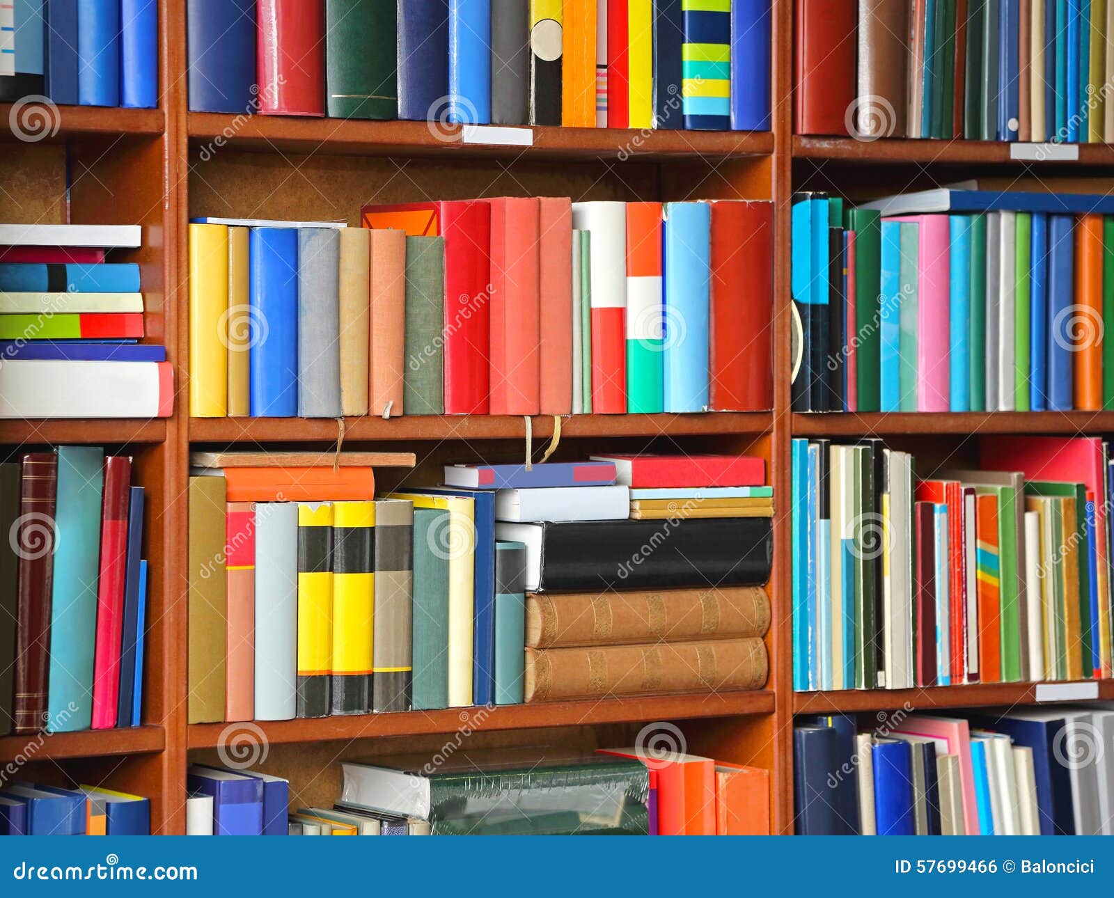 Book shelf stock photo. Image of shelf, colorful, book - 57699466