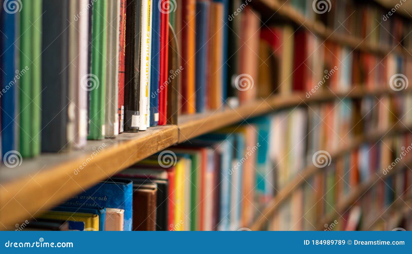 Book on a Shelf in the Oval Shaped Library Stock Image - Image of ...