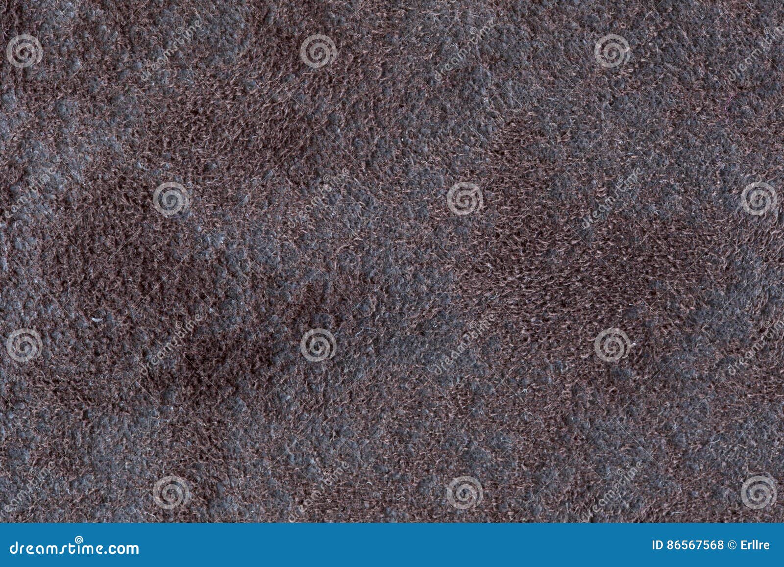 Book shell texture stock photo. Image of shell, literature - 86567568