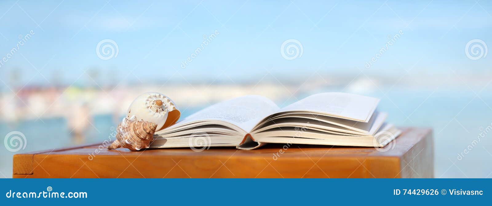 489 Beach Book Shells Stock Photos - Free & Royalty-Free Stock Photos ...