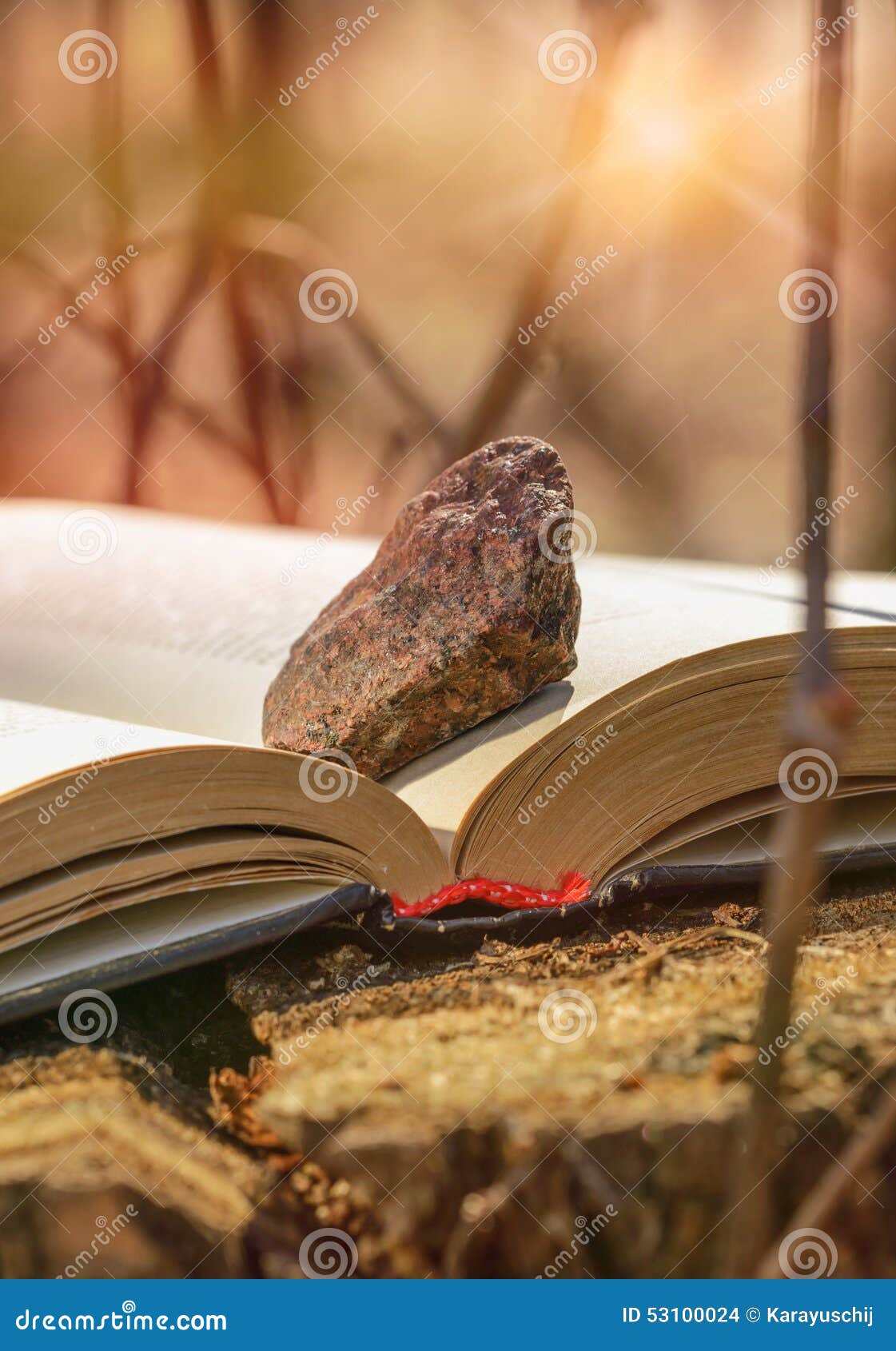 Book with Stone stock photo. Image of literature, reading - 53100024