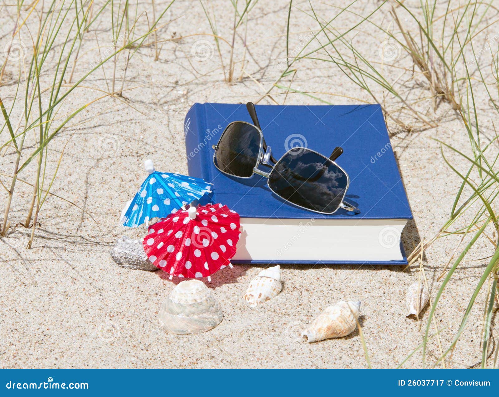 Book and sunglasses stock image. Image of sand, summertime - 26037717